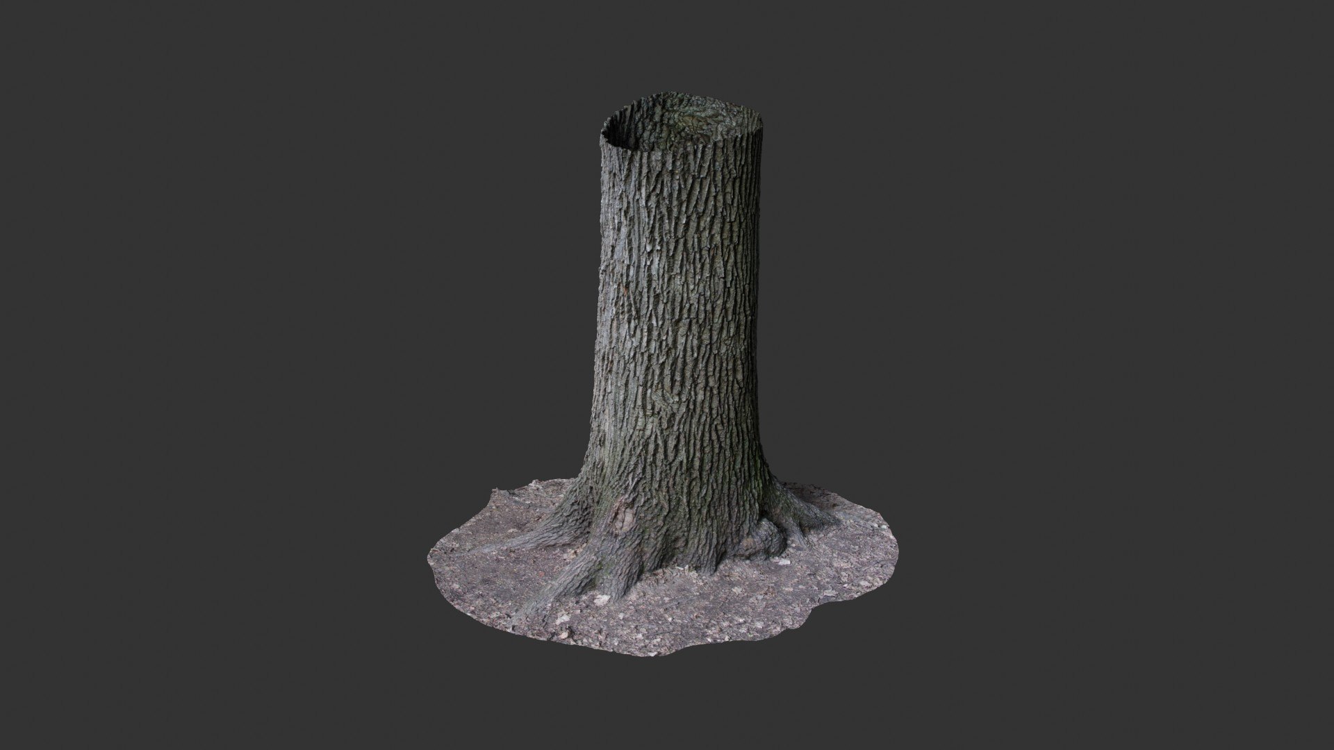 3D Tree Trunk 001 - TurboSquid 2103749