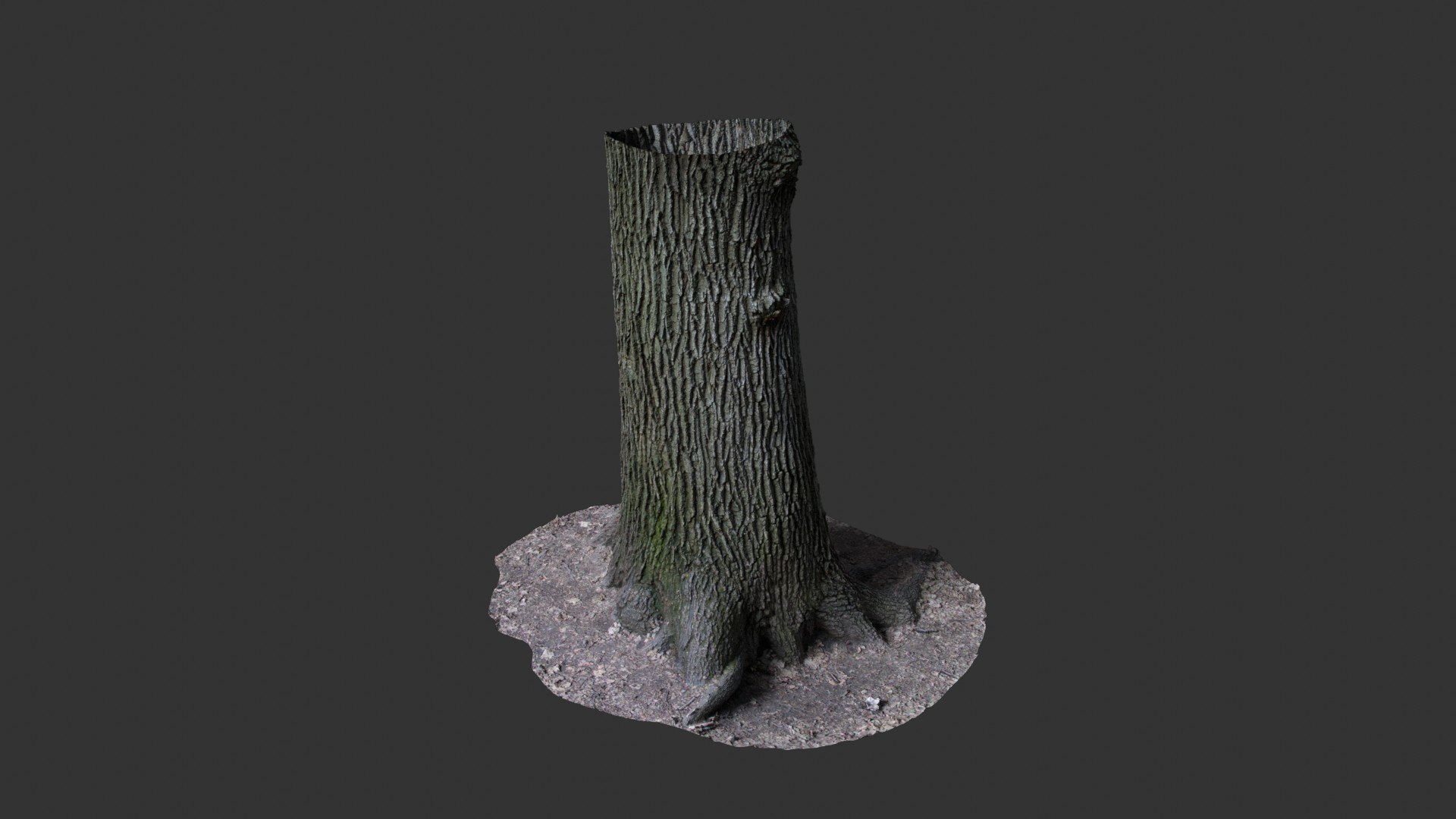 3D Tree Trunk 001 - TurboSquid 2103749