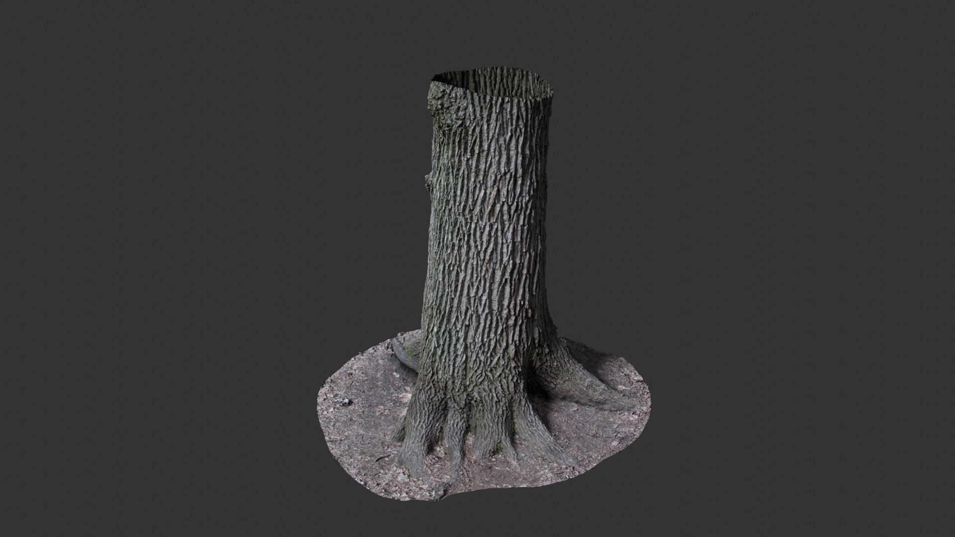 3D Tree Trunk 001 - TurboSquid 2103749