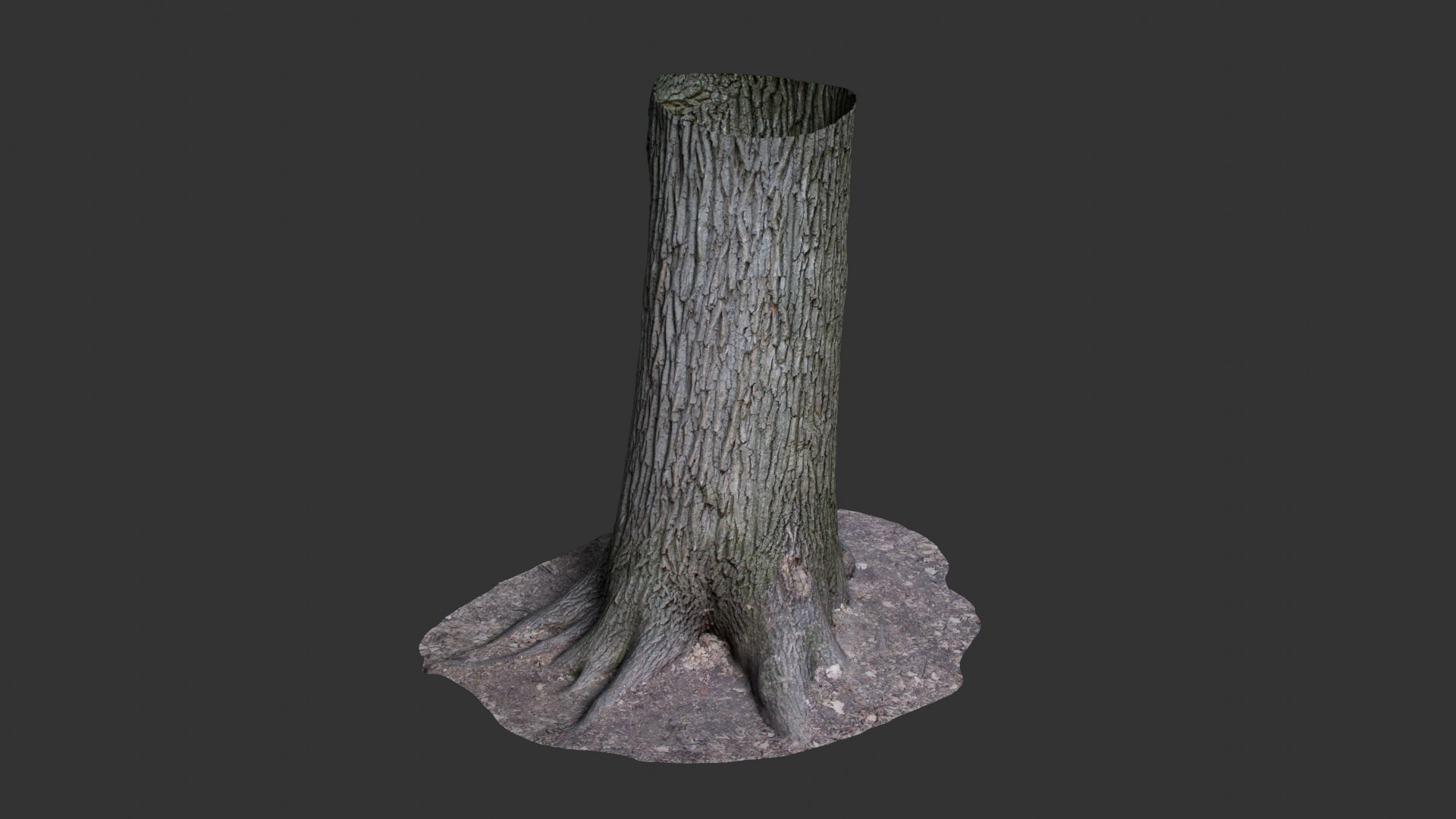 3D Tree Trunk 001 - TurboSquid 2103749