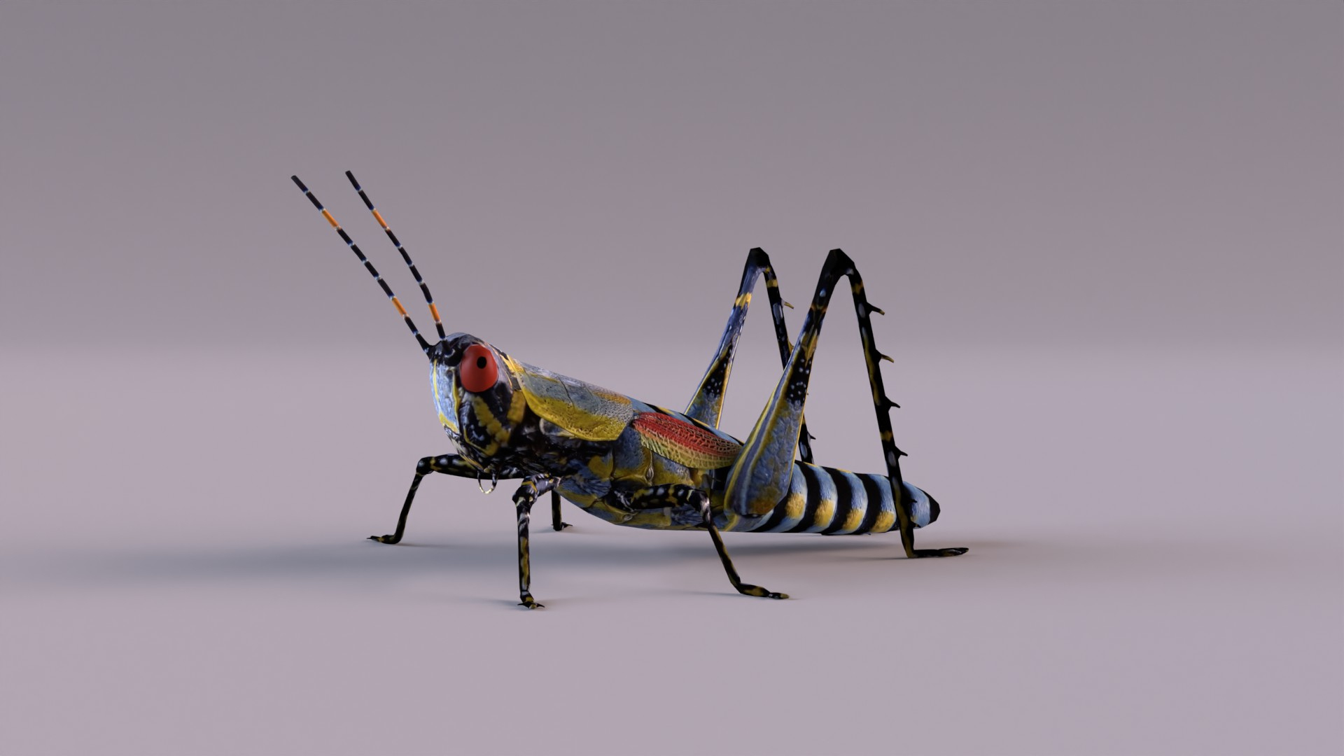 3D Insects Bundle Model - TurboSquid 1973115