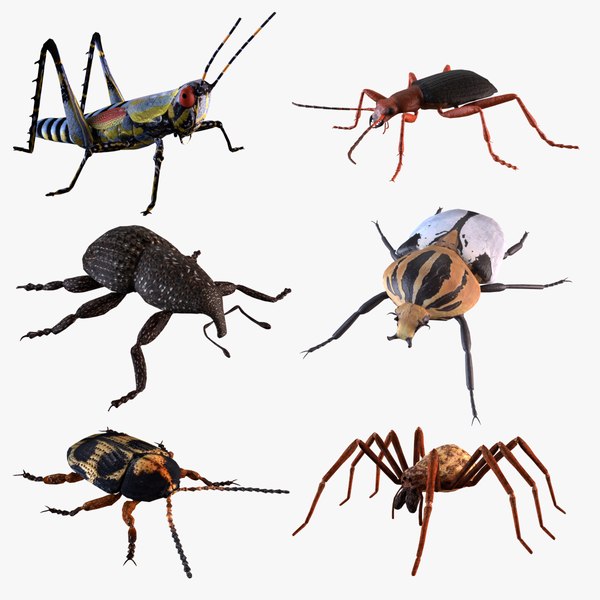3D Insects bundle model - TurboSquid 1973115