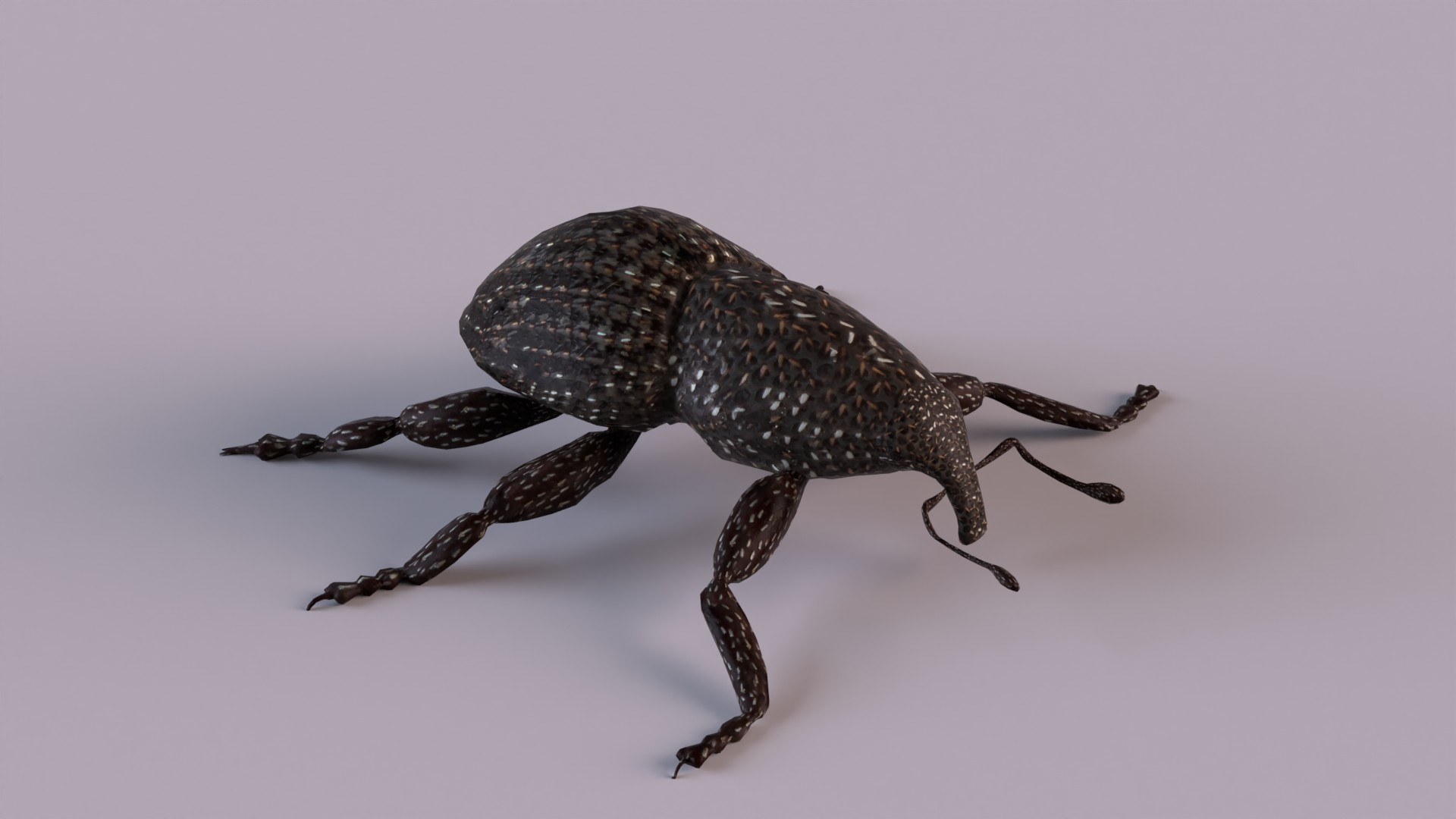 3D Insects Bundle Model - TurboSquid 1973115