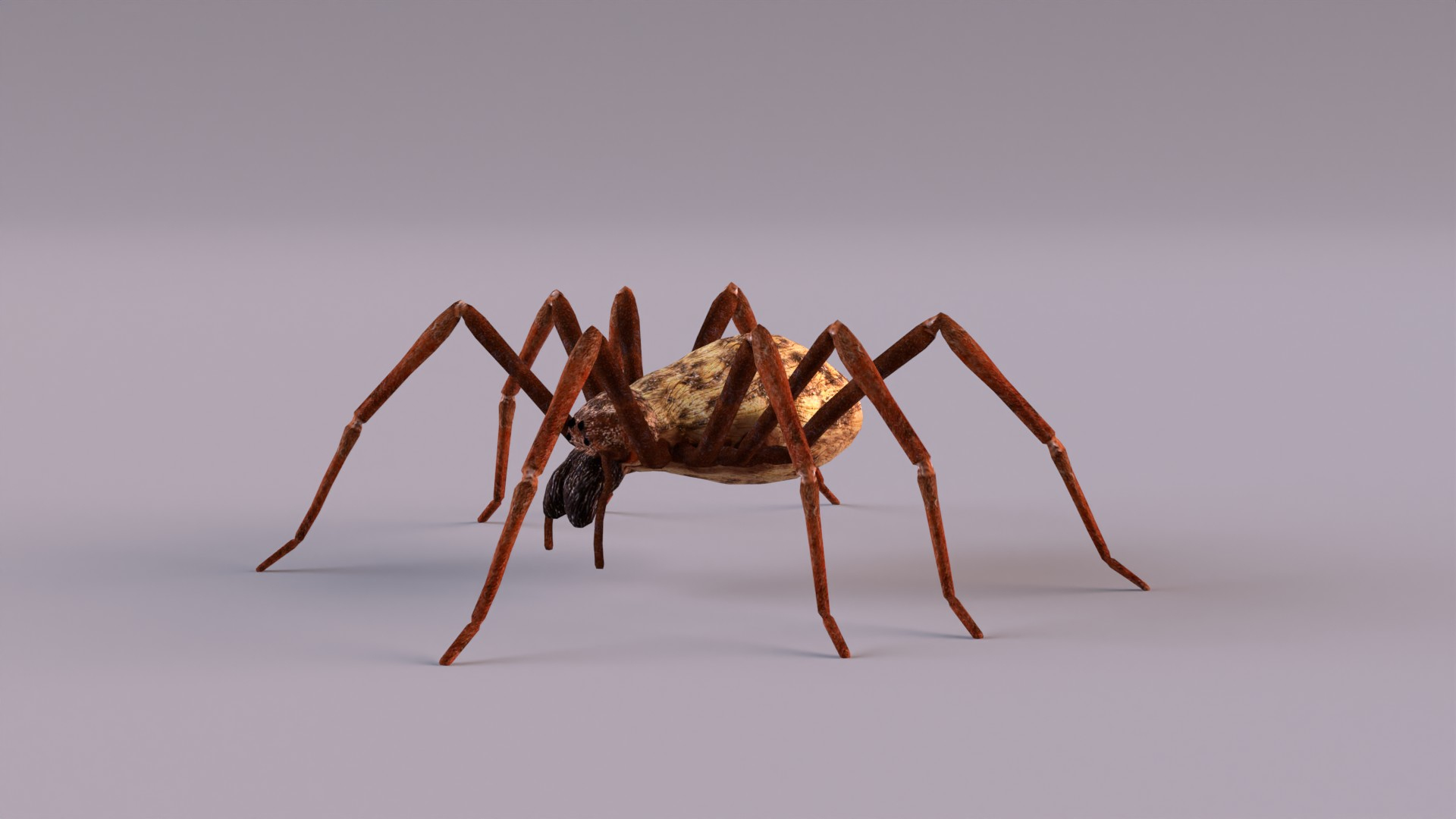 3D Insects Bundle Model - TurboSquid 1973115