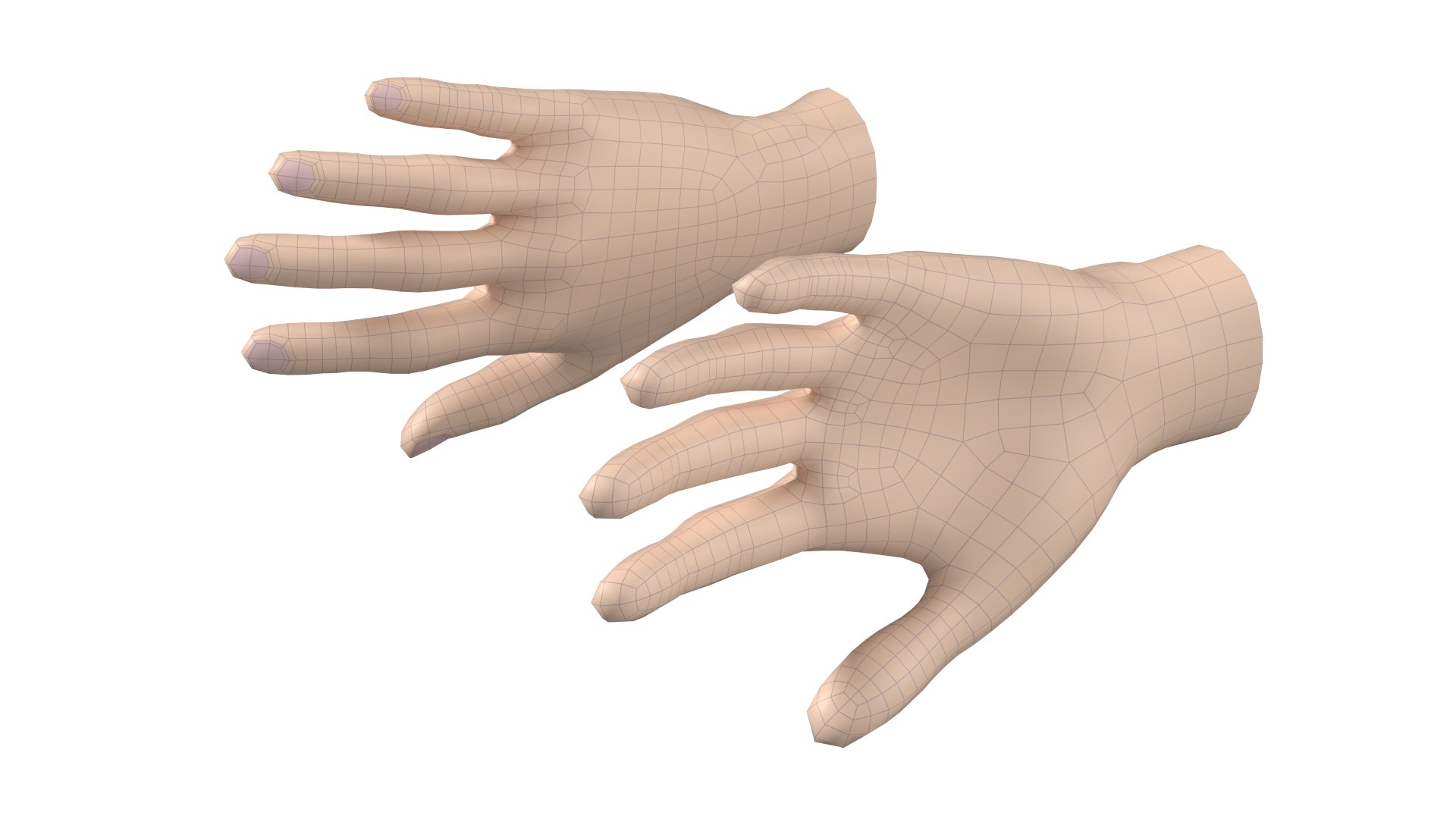 Female Hand Base Mesh 03 3D model - TurboSquid 1784779