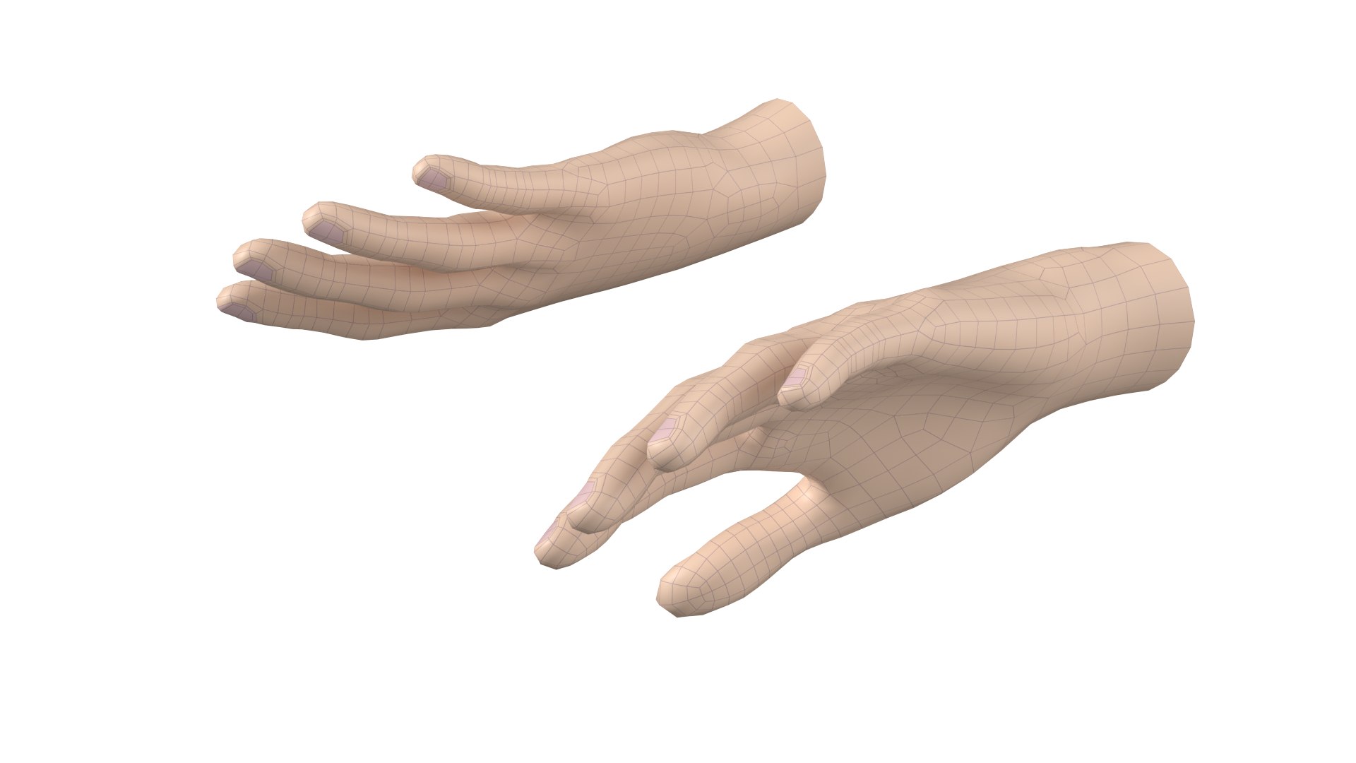 Female Hand Base Mesh 03 3D model - TurboSquid 1784779