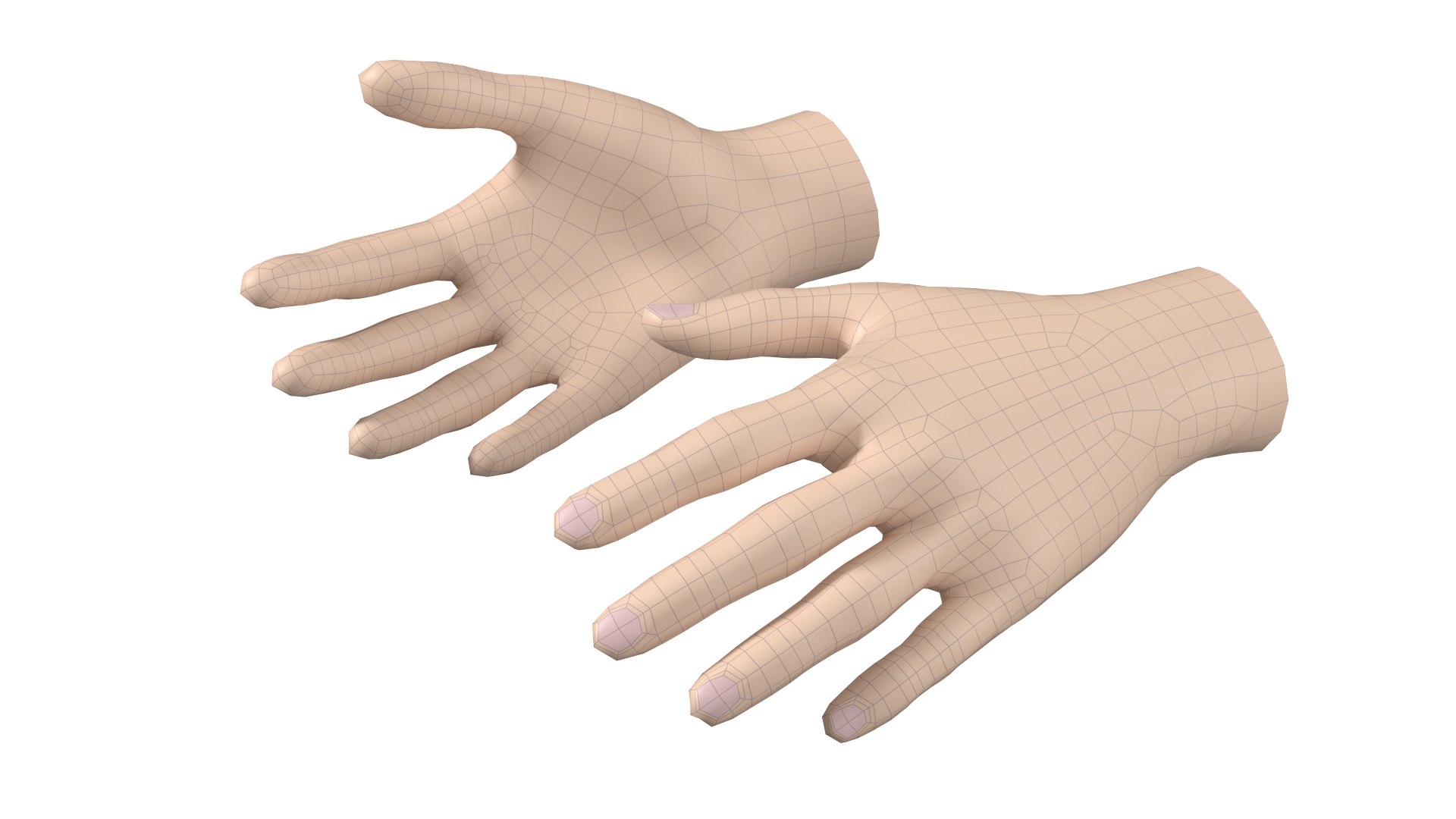 Female Hand Base Mesh 03 3D model - TurboSquid 1784779