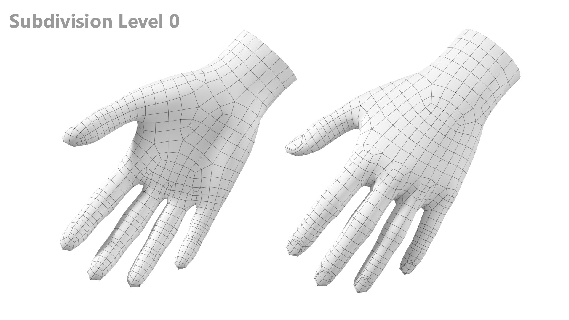 Female Hand Base Mesh 03 3D model - TurboSquid 1784779