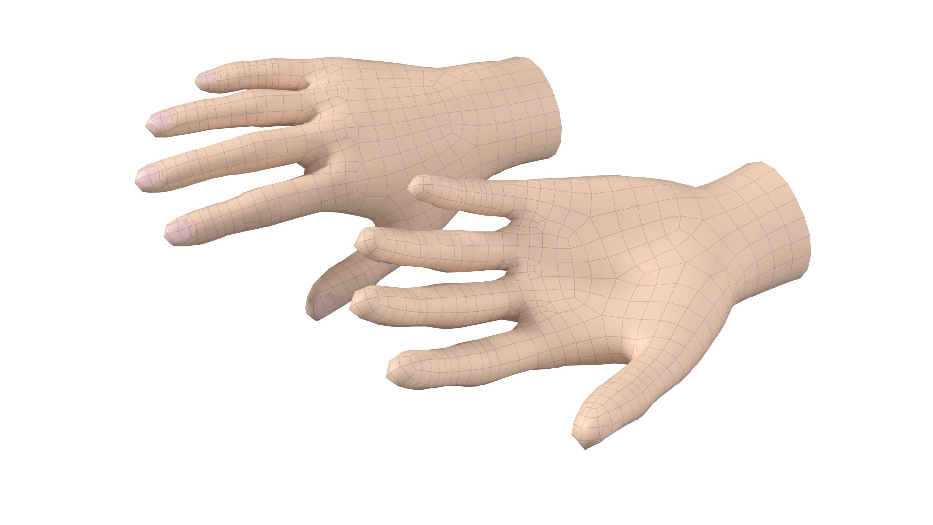 Female Hand Base Mesh 03 3D model - TurboSquid 1784779