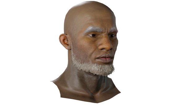 5 realistic models of heads 3D model - TurboSquid 1782441
