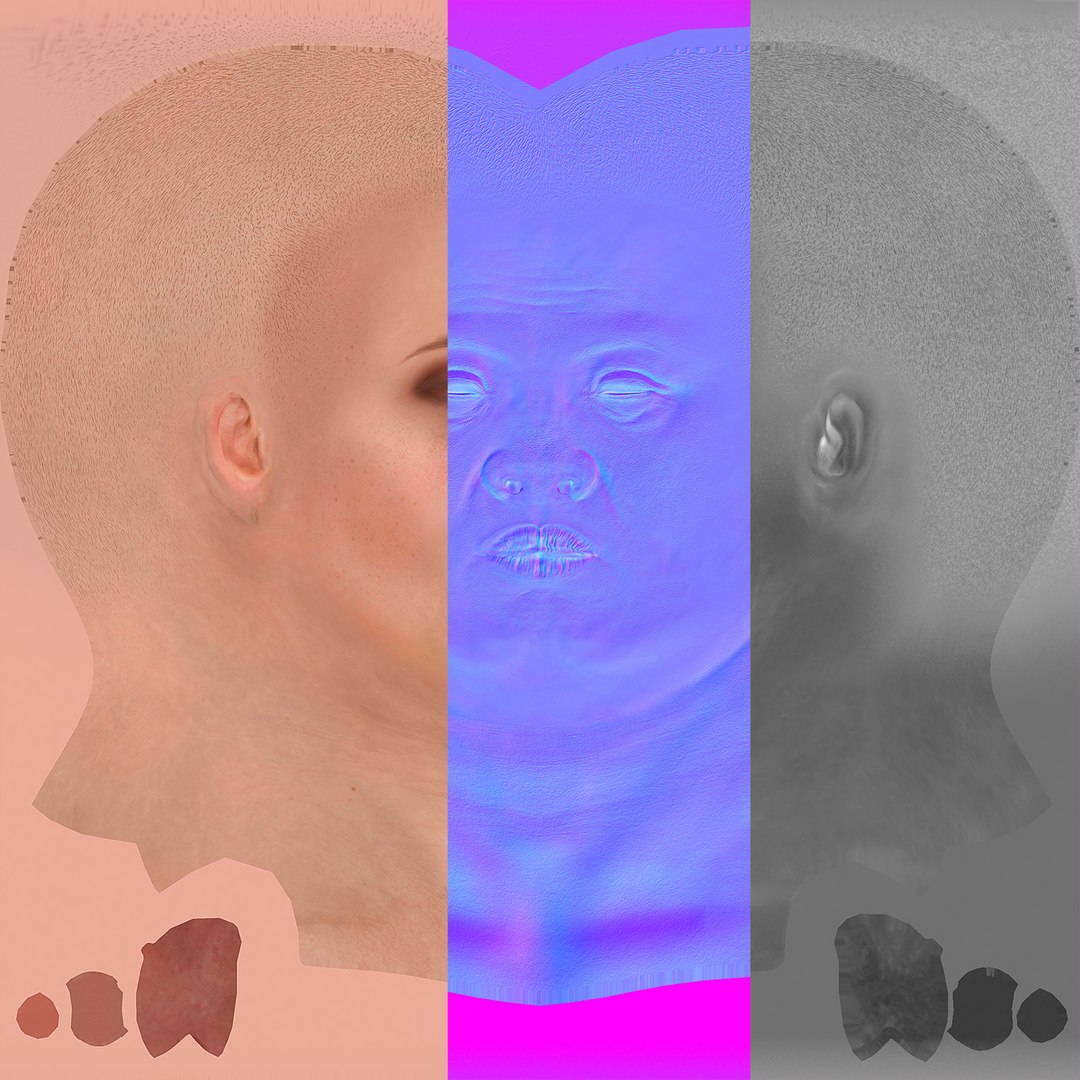 5 realistic models of heads 3D model - TurboSquid 1782441