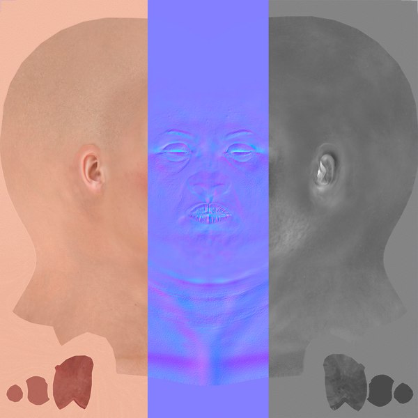 5 realistic models of heads 3D model - TurboSquid 1782441