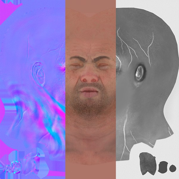 5 realistic models of heads 3D model - TurboSquid 1782441