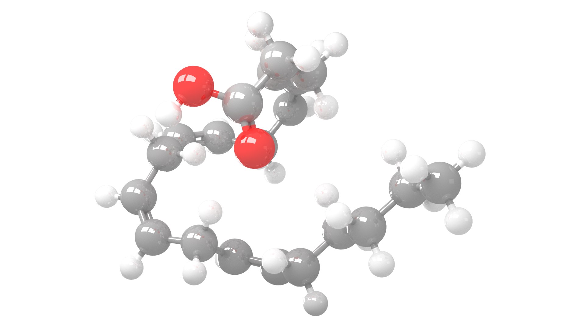 3D Arachidonic acid - C20H32O2 Molecular Structure model - TurboSquid ...