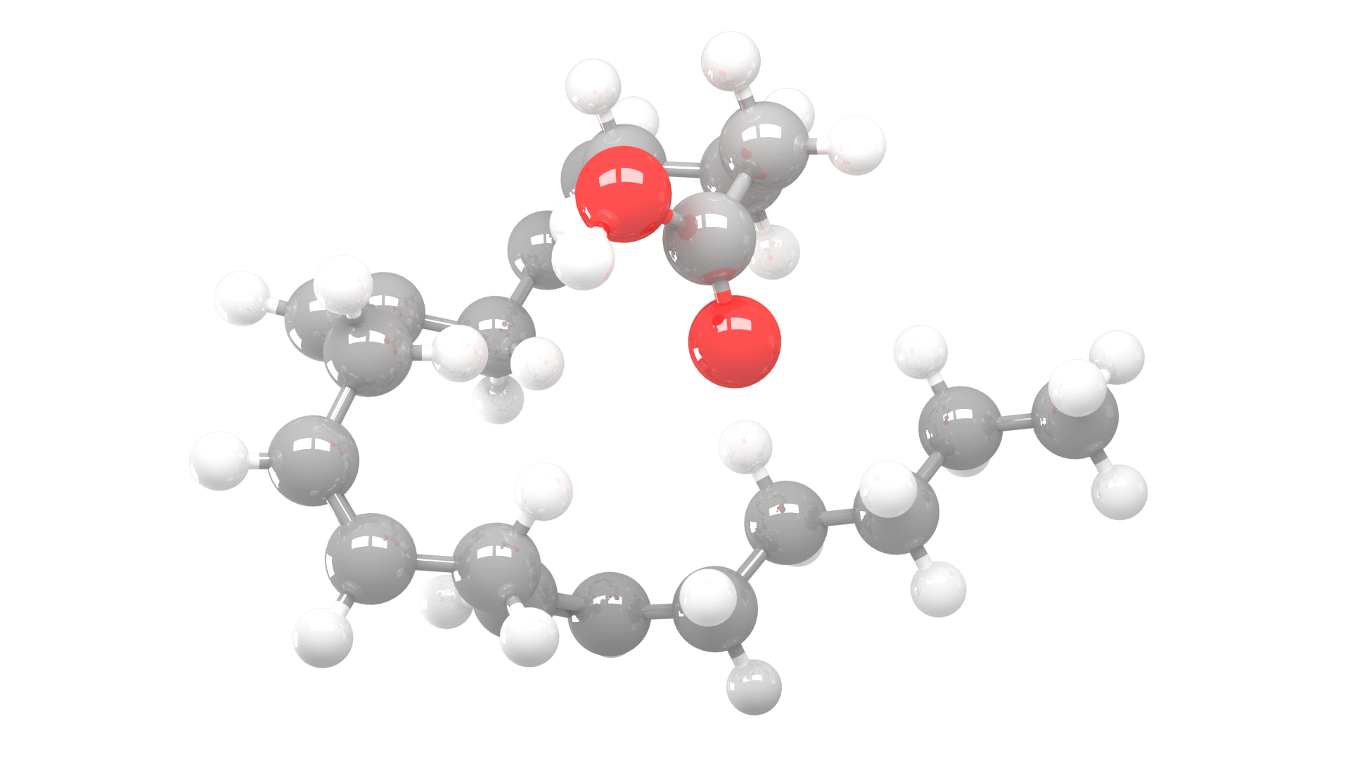 Arachidonic Acid Structure