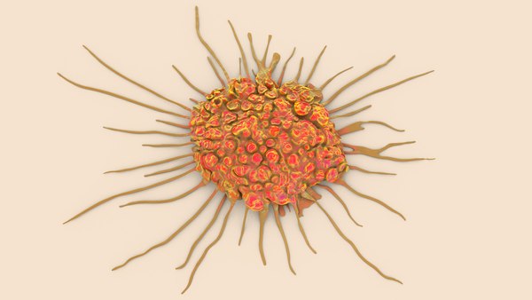 3D Cancer Cell model - TurboSquid 1938766