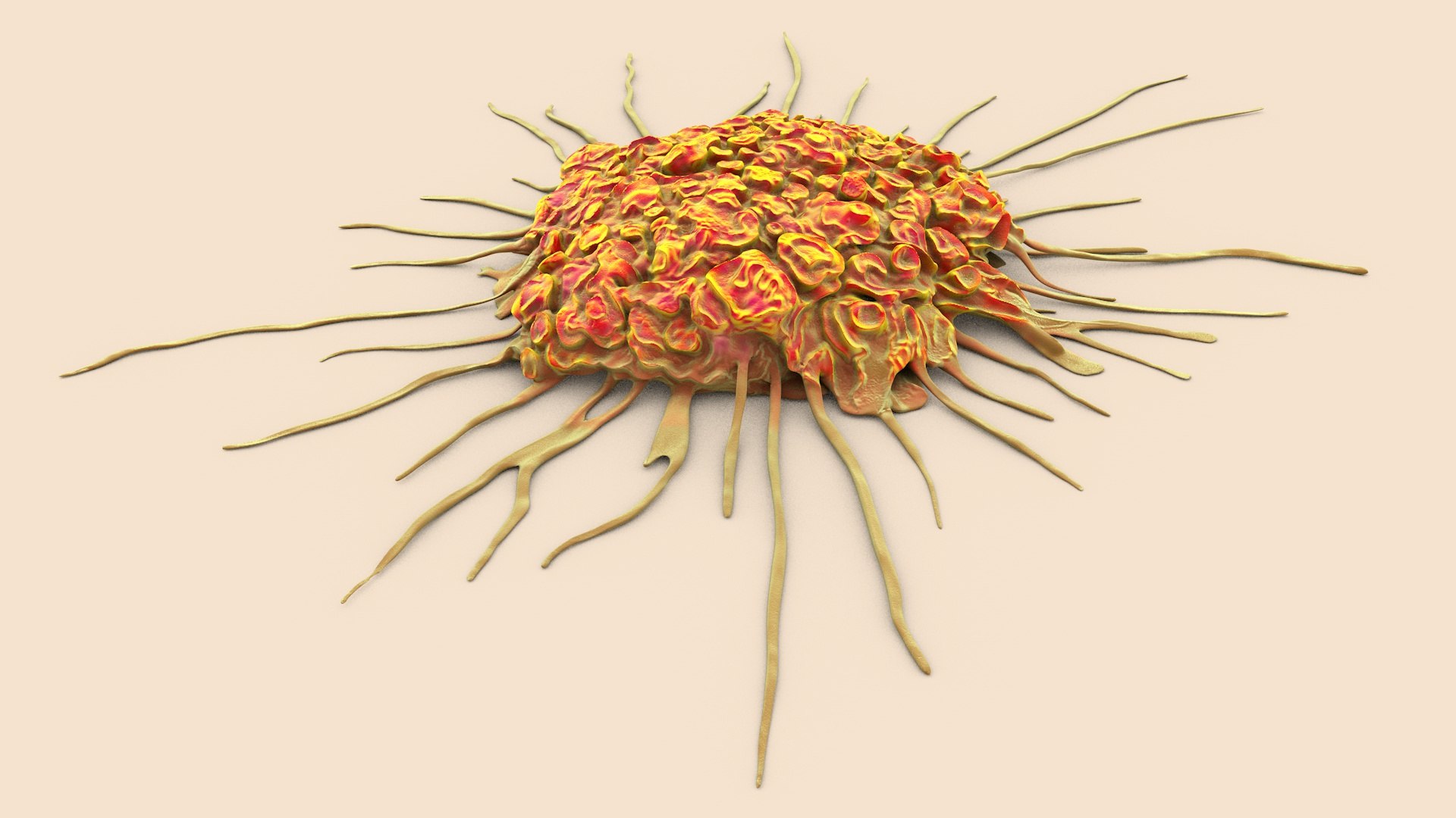 3D Cancer Cell model - TurboSquid 1938766