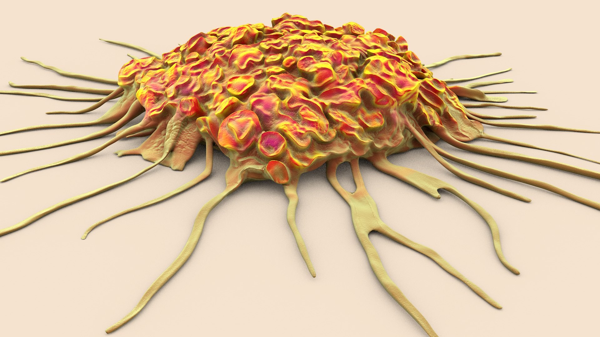 3D Cancer Cell Model - TurboSquid 1938766