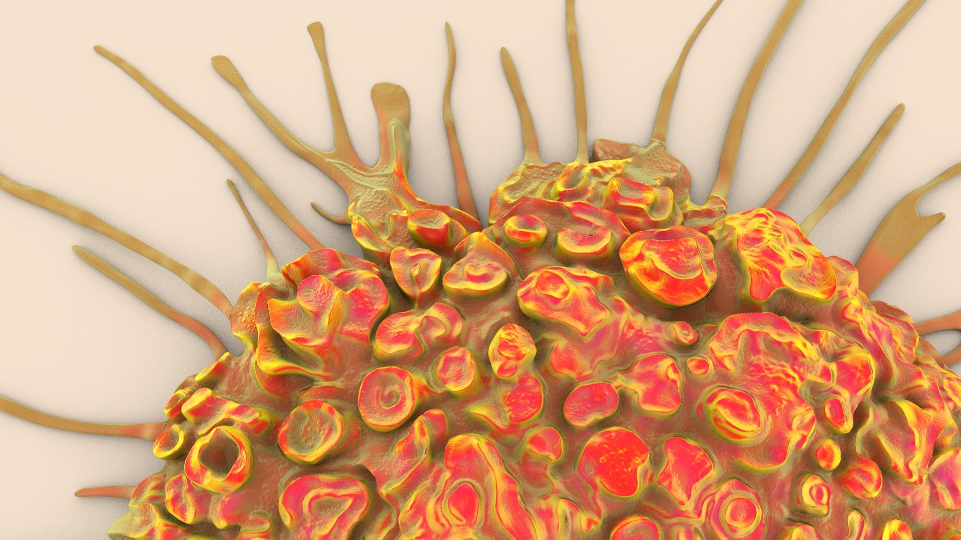 3D Cancer Cell Model - TurboSquid 1938766