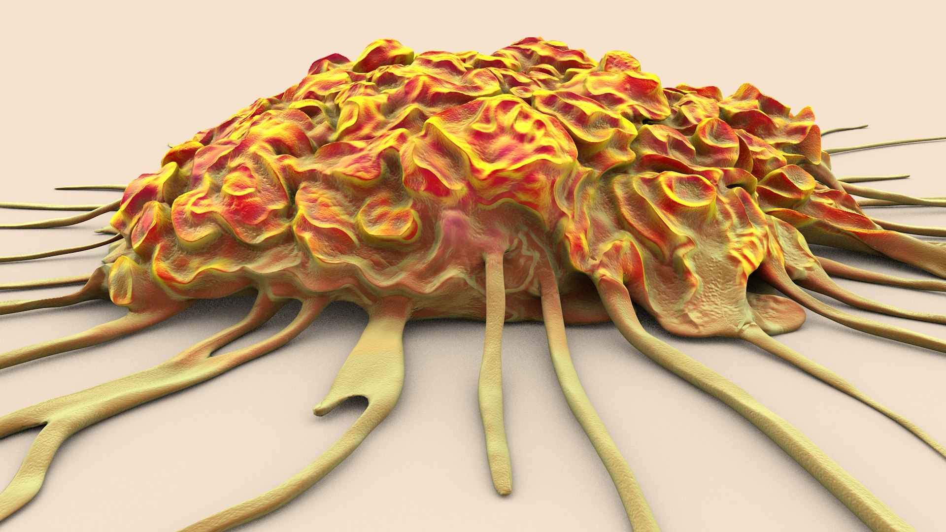 3D Cancer Cell Model - TurboSquid 1938766