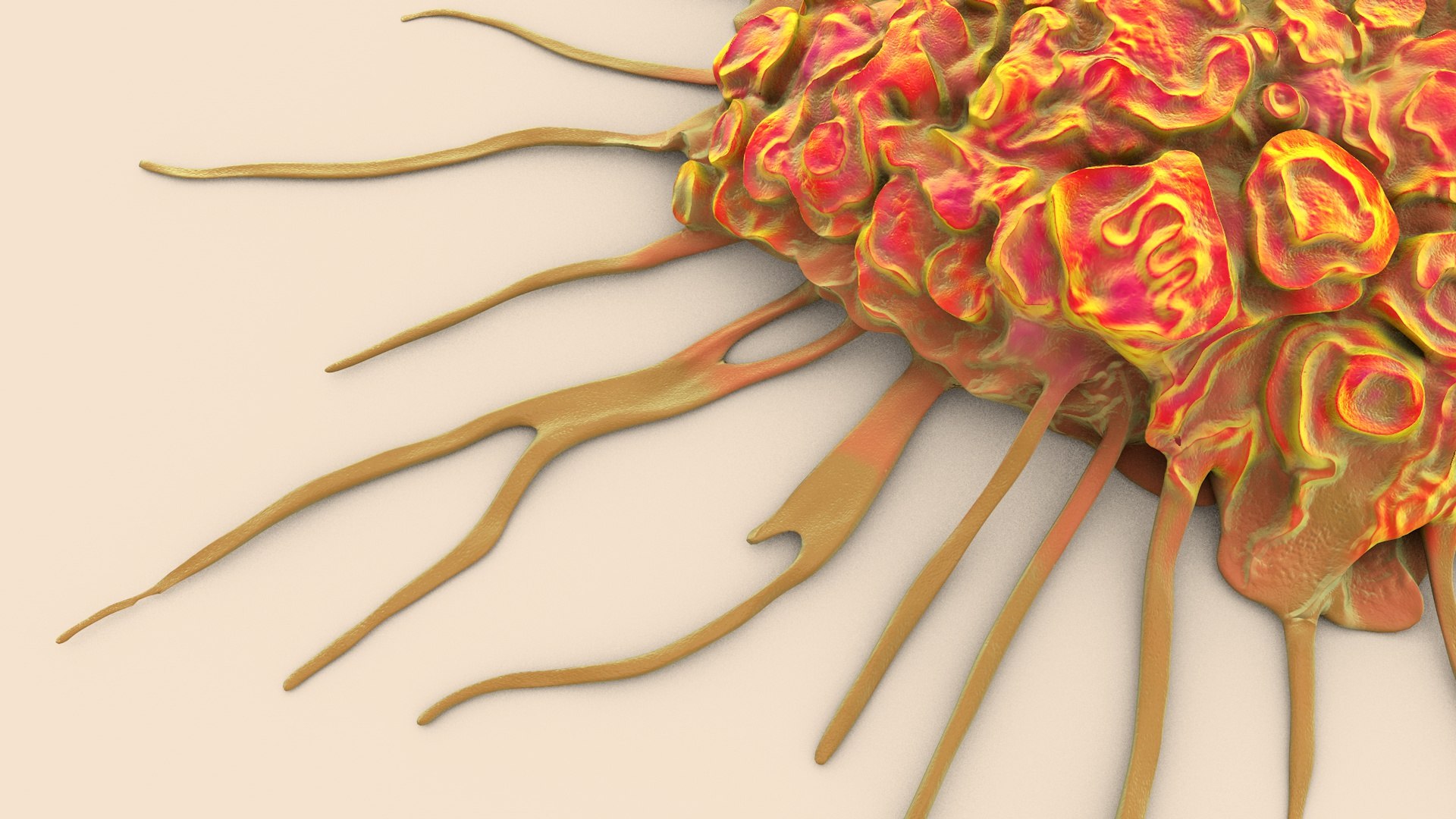 3D Cancer Cell Model - TurboSquid 1938766