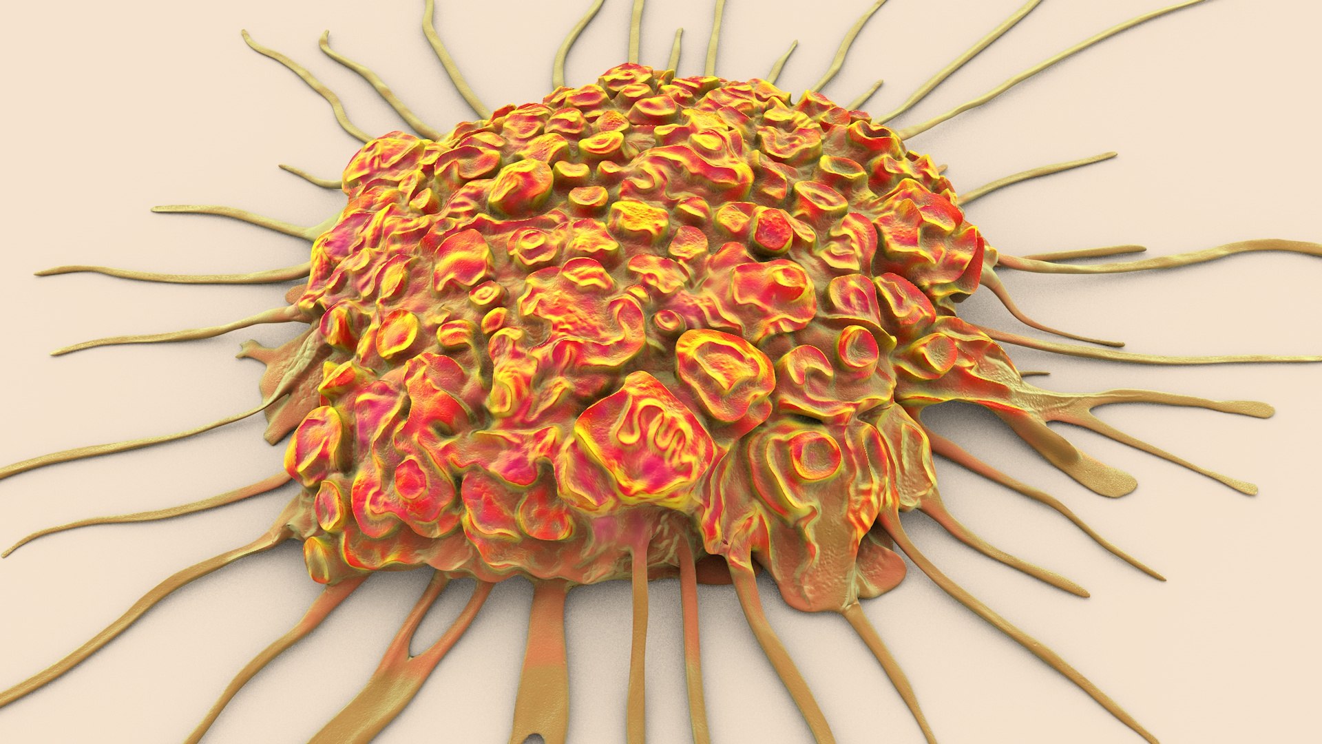 3D Cancer Cell Model - TurboSquid 1938766