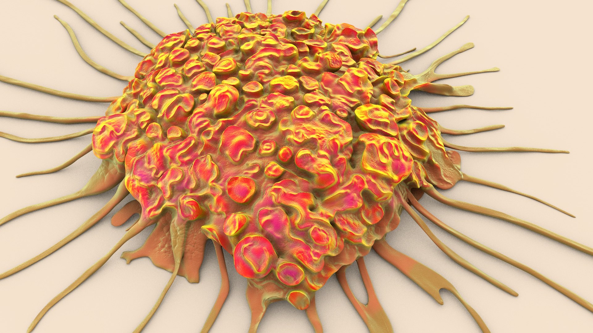 3D Cancer Cell Model - TurboSquid 1938766