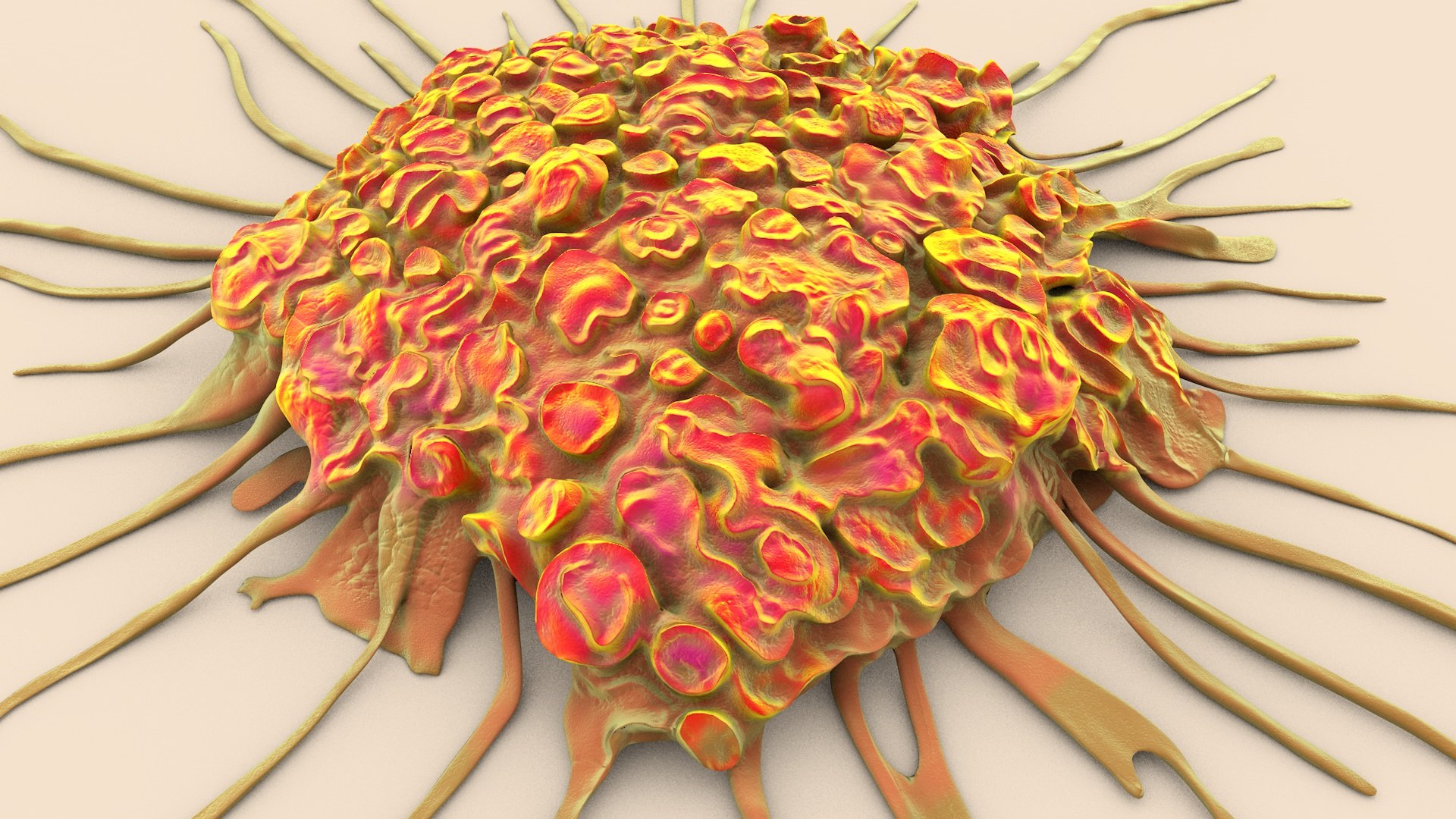 3D Cancer Cell Model - TurboSquid 1938766
