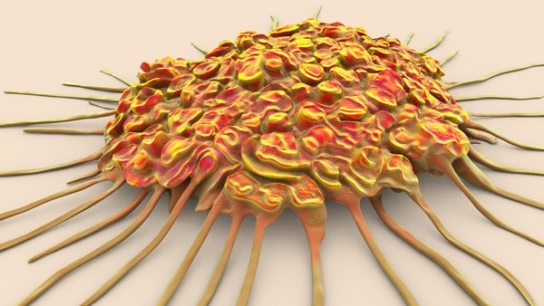 3D Cancer Cell model - TurboSquid 1938766