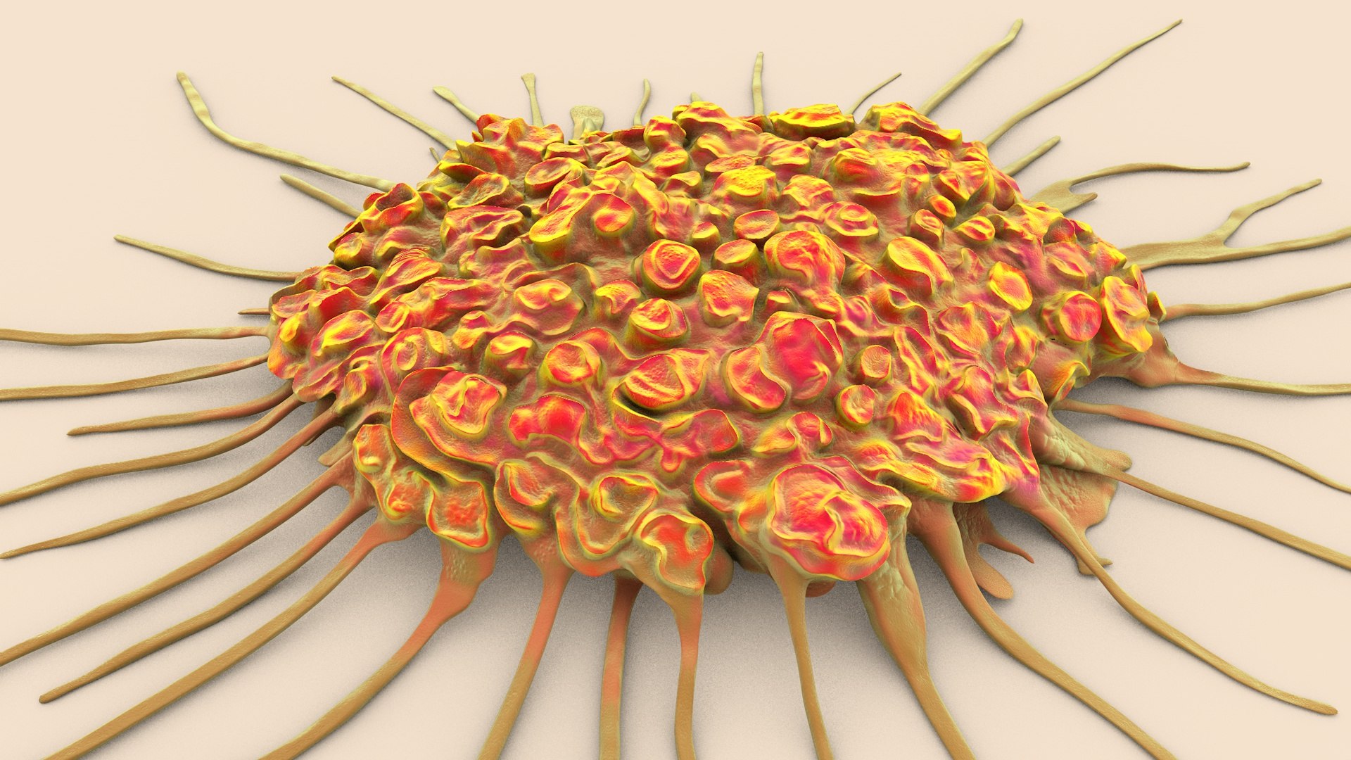 3D Cancer Cell Model - TurboSquid 1938766
