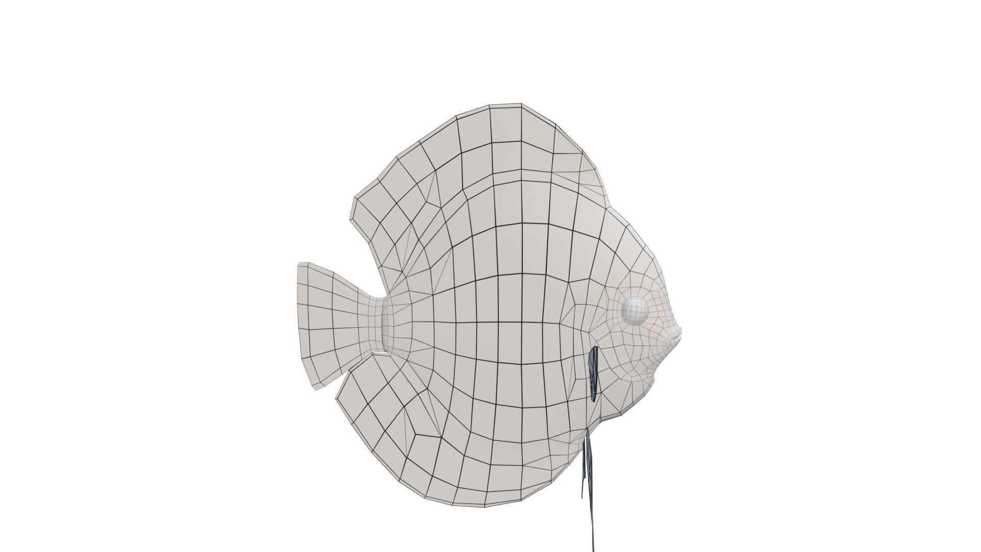 Yellow Discus Fish 3D Model 3D Model - TurboSquid 2311731