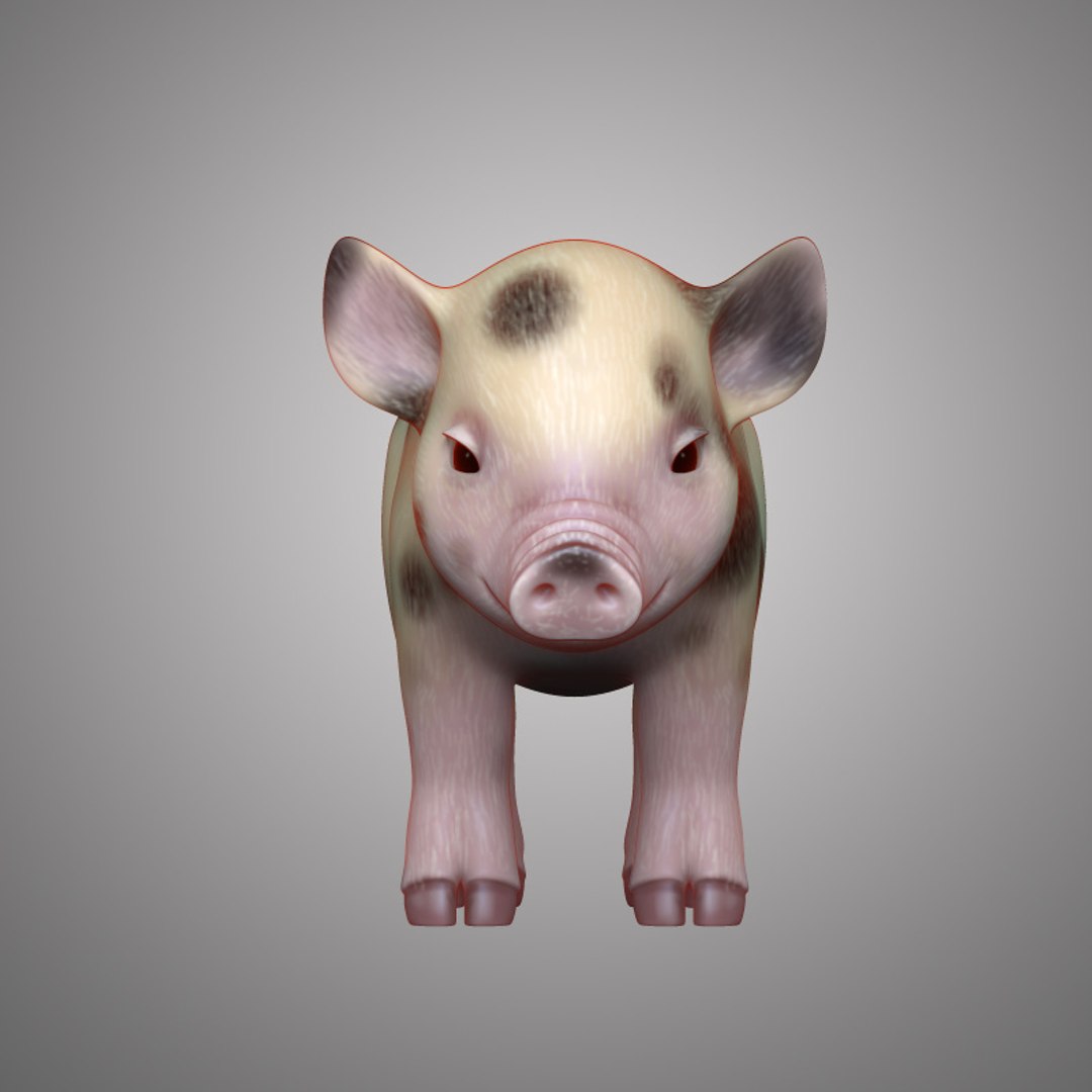 Mini Pig 3D Model - TurboSquid 1163297
