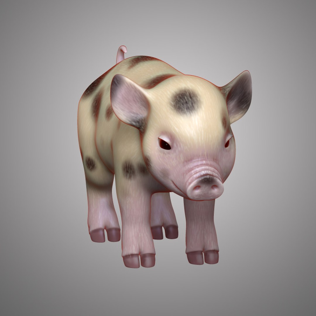 Mini Pig 3D Model - TurboSquid 1163297