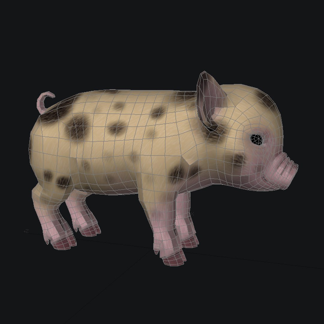 Mini Pig 3D Model - TurboSquid 1163297