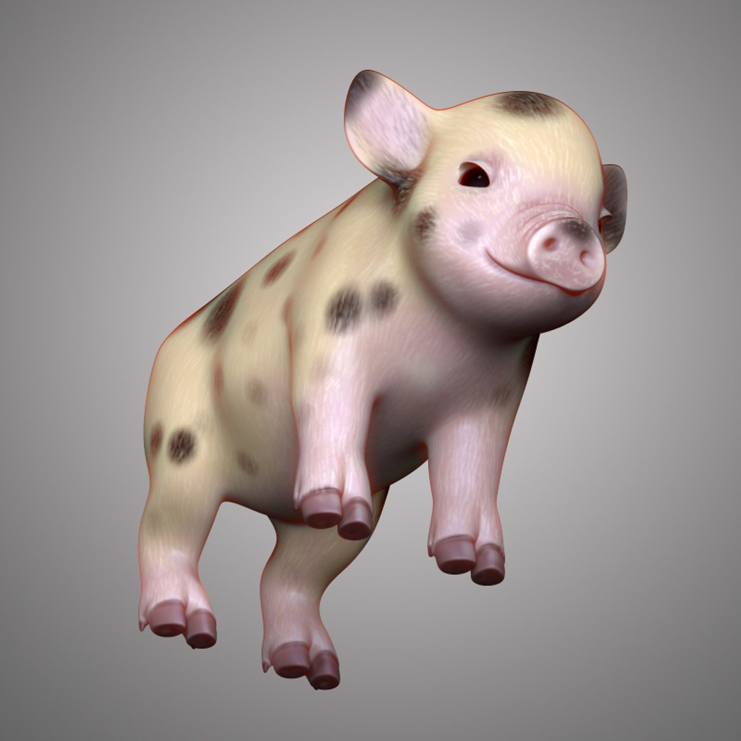 Mini Pig 3D Model - TurboSquid 1163297