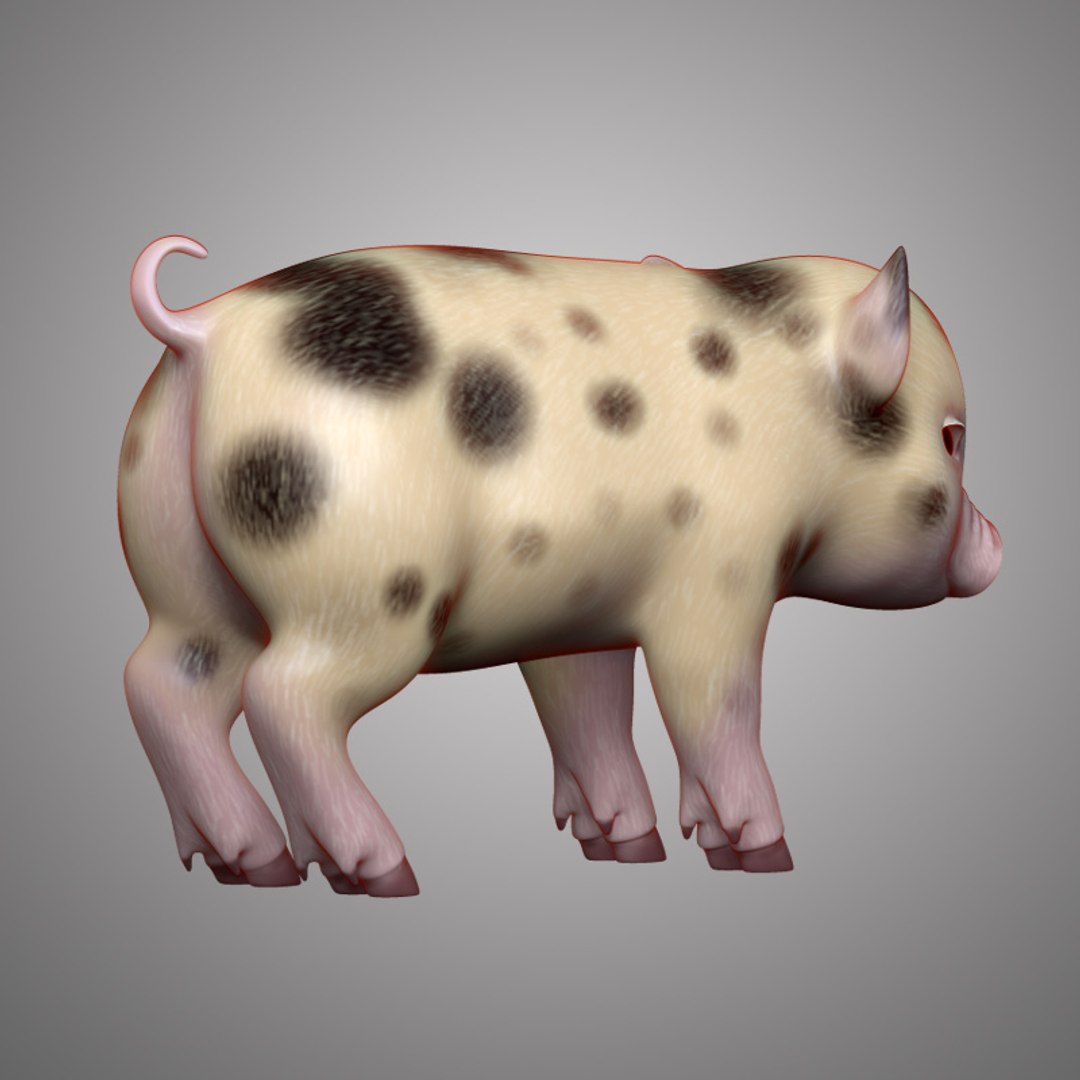 Mini Pig 3D Model - TurboSquid 1163297