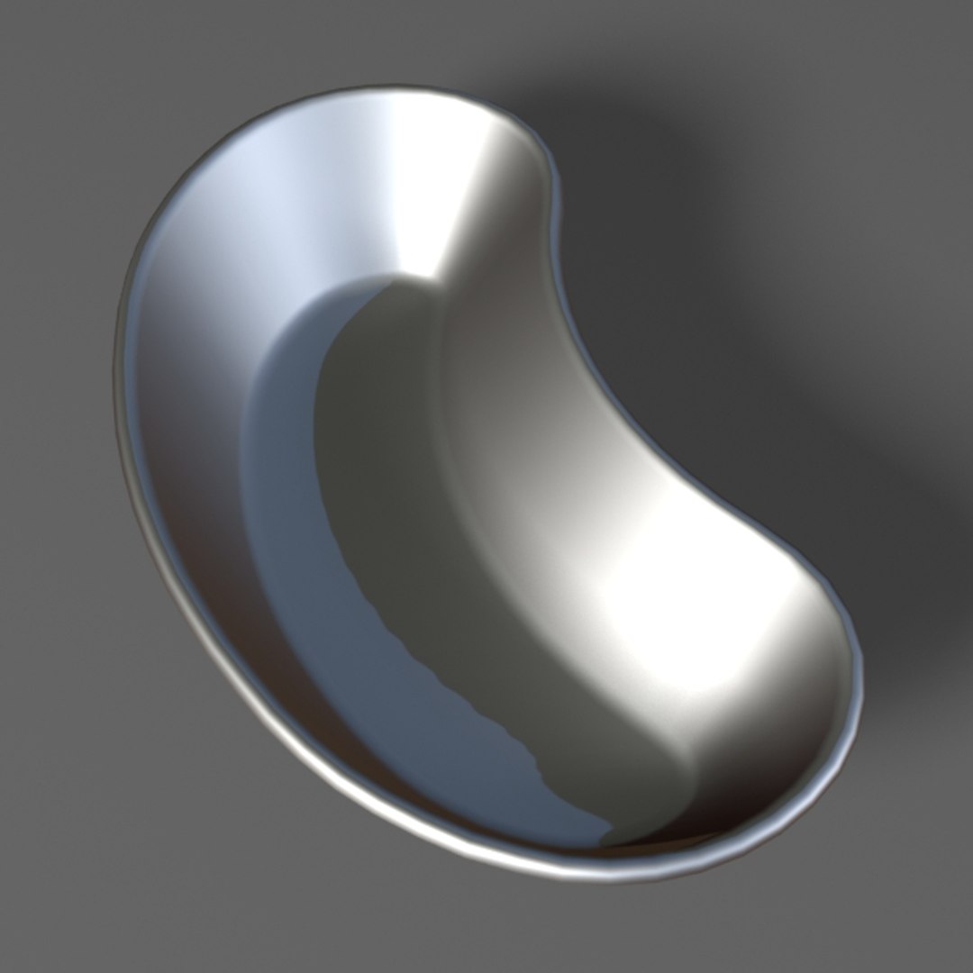 3d Model Kidney Dish