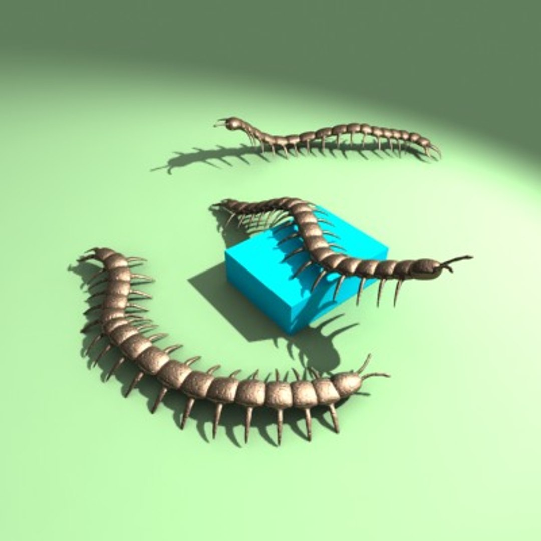 3dsmax Centipedes