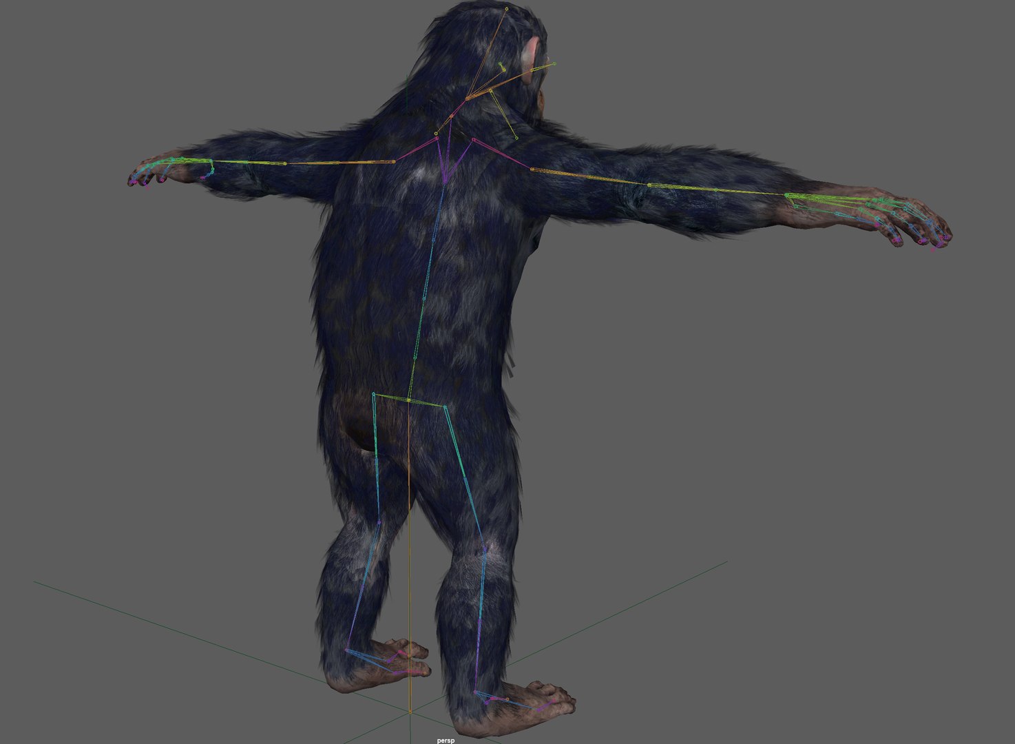 Chimpanzee Ape Rigged 3D Model - TurboSquid 1931761