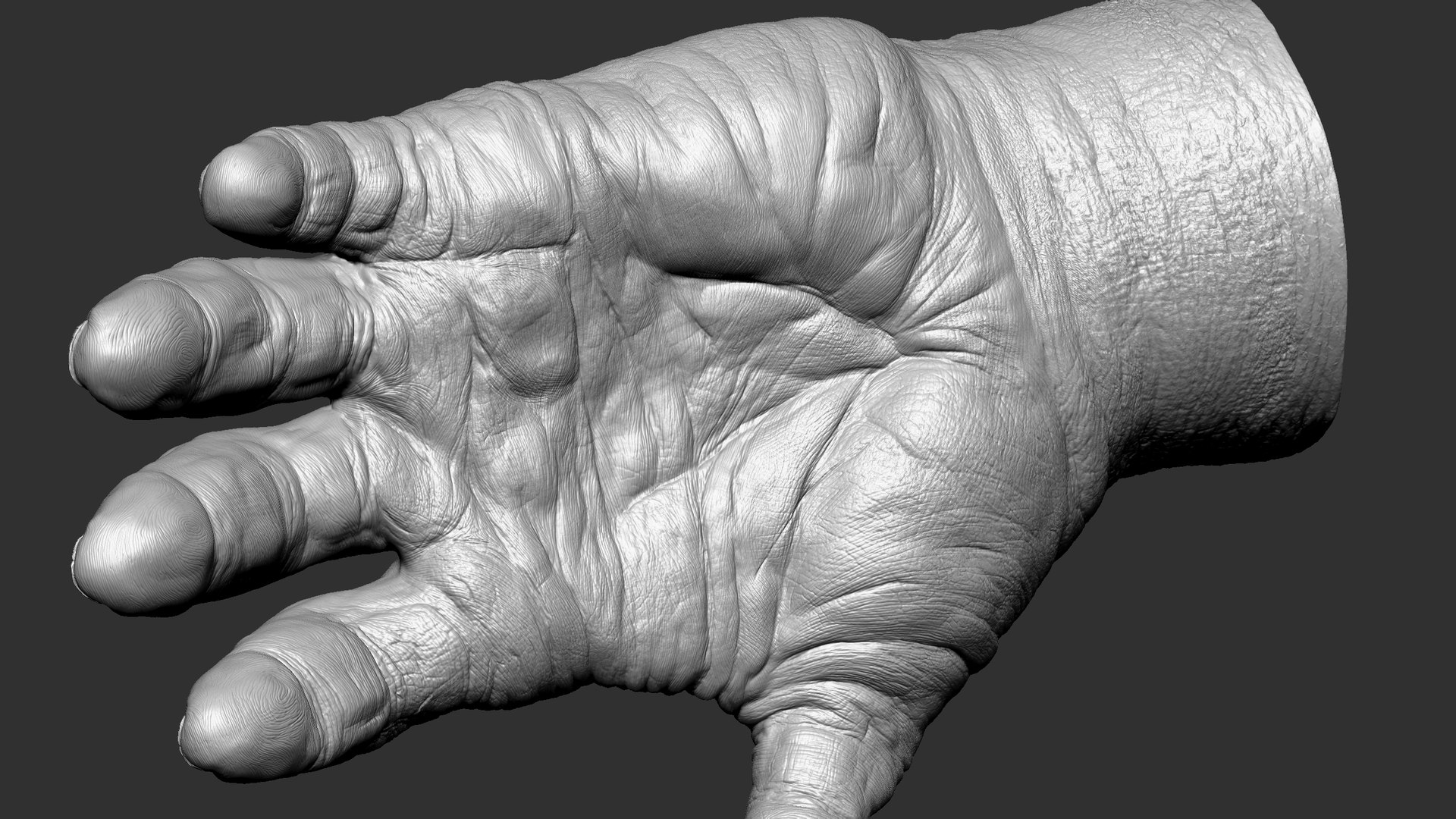 Gorilla Hand 3D Model - TurboSquid 1839791