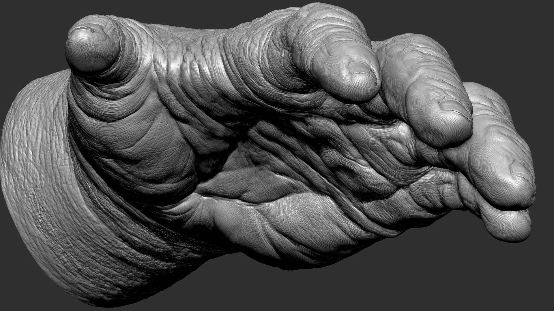 Gorilla Hand 3D Model - TurboSquid 1839791