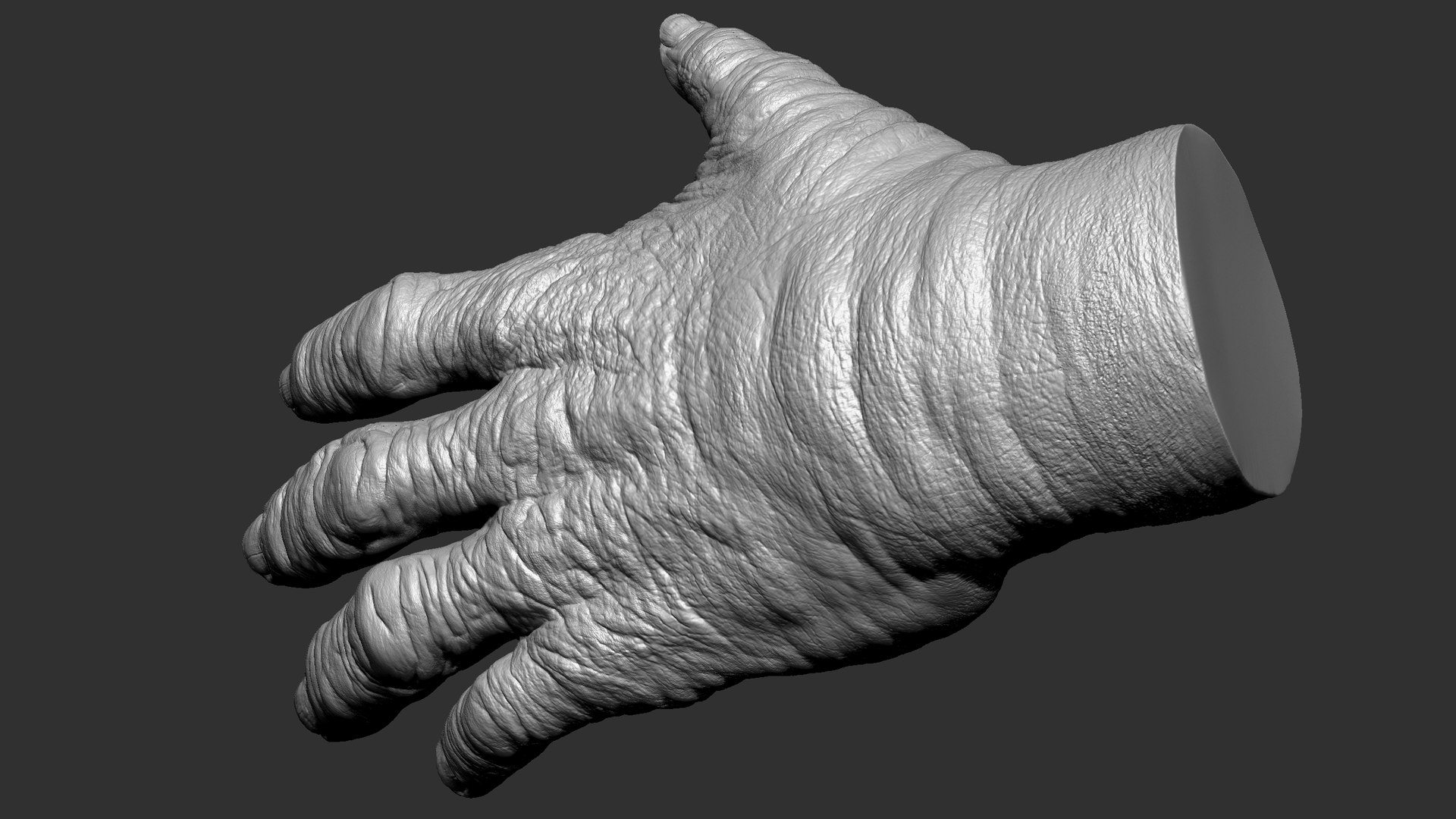Gorilla Hand 3D Model - TurboSquid 1839791