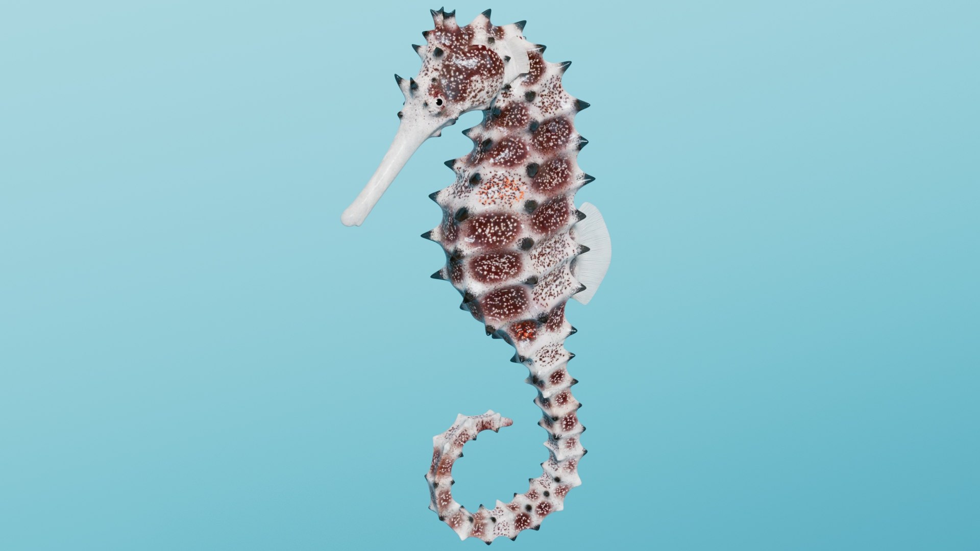 modelo 3d Spiny Seahorse Rigged Animated - TurboSquid 2031549