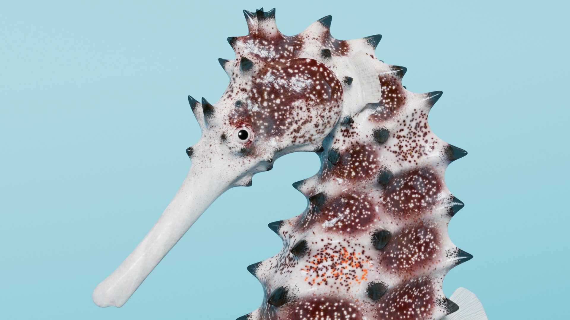 3D Spiny Seahorse Rigged Animated - TurboSquid 2031549