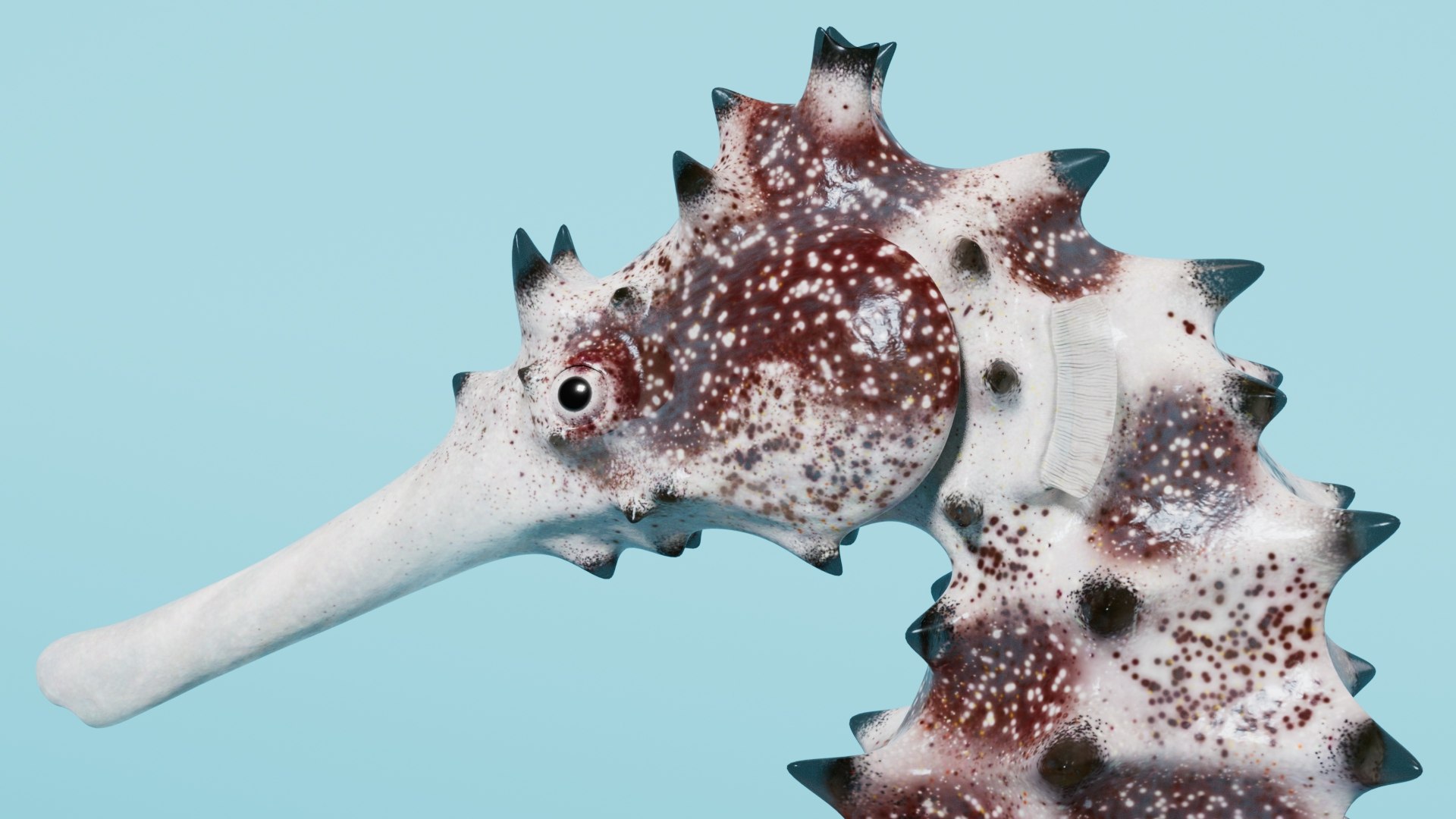 3D Spiny Seahorse Rigged Animated - TurboSquid 2031549