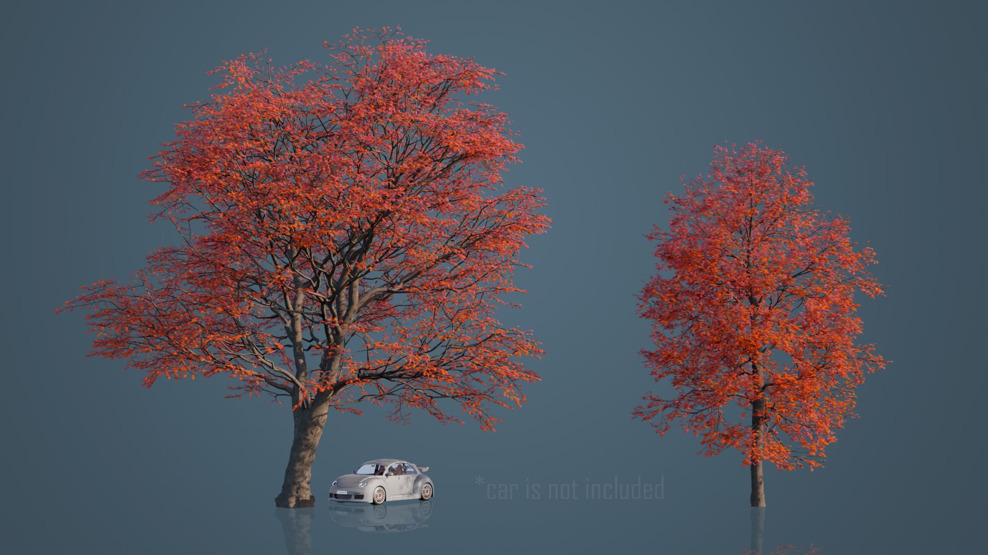 Red Maple Trees 3D - TurboSquid 1800770