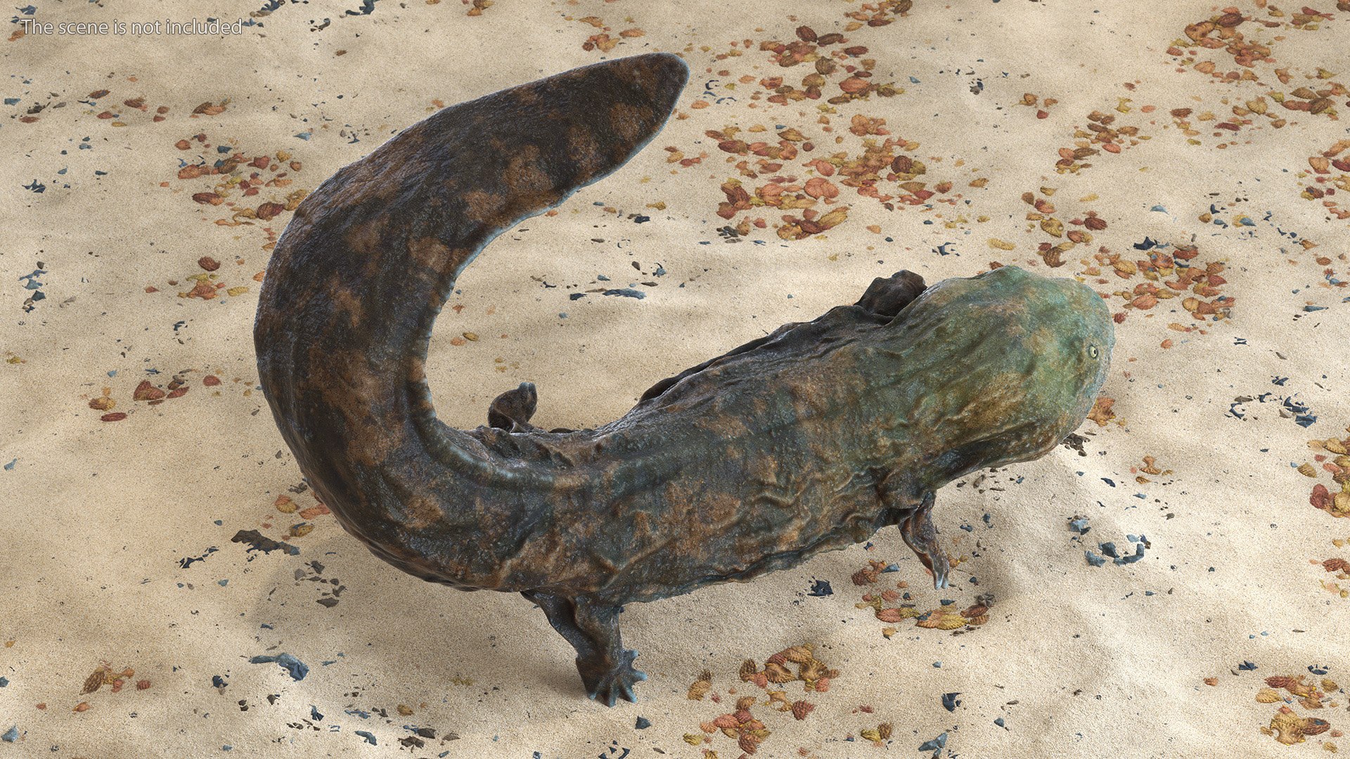 3D Aquatic Salamander Light Wet Rigged - TurboSquid 2239658