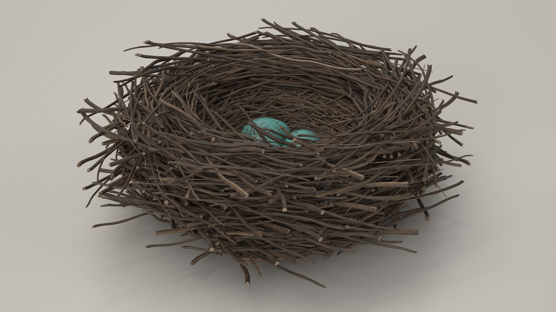 3D Bird Nest With Eggs Model - TurboSquid 2198756