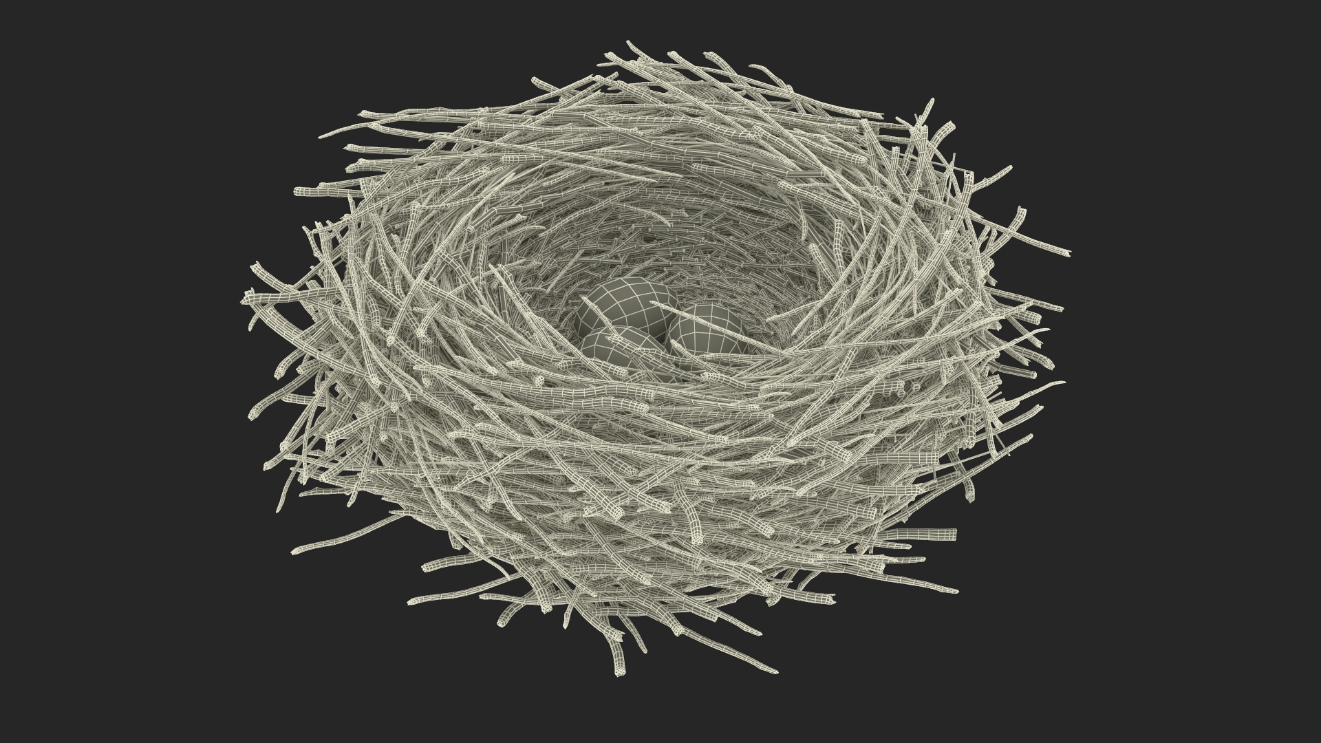 3D Bird Nest With Eggs Model - TurboSquid 2198756