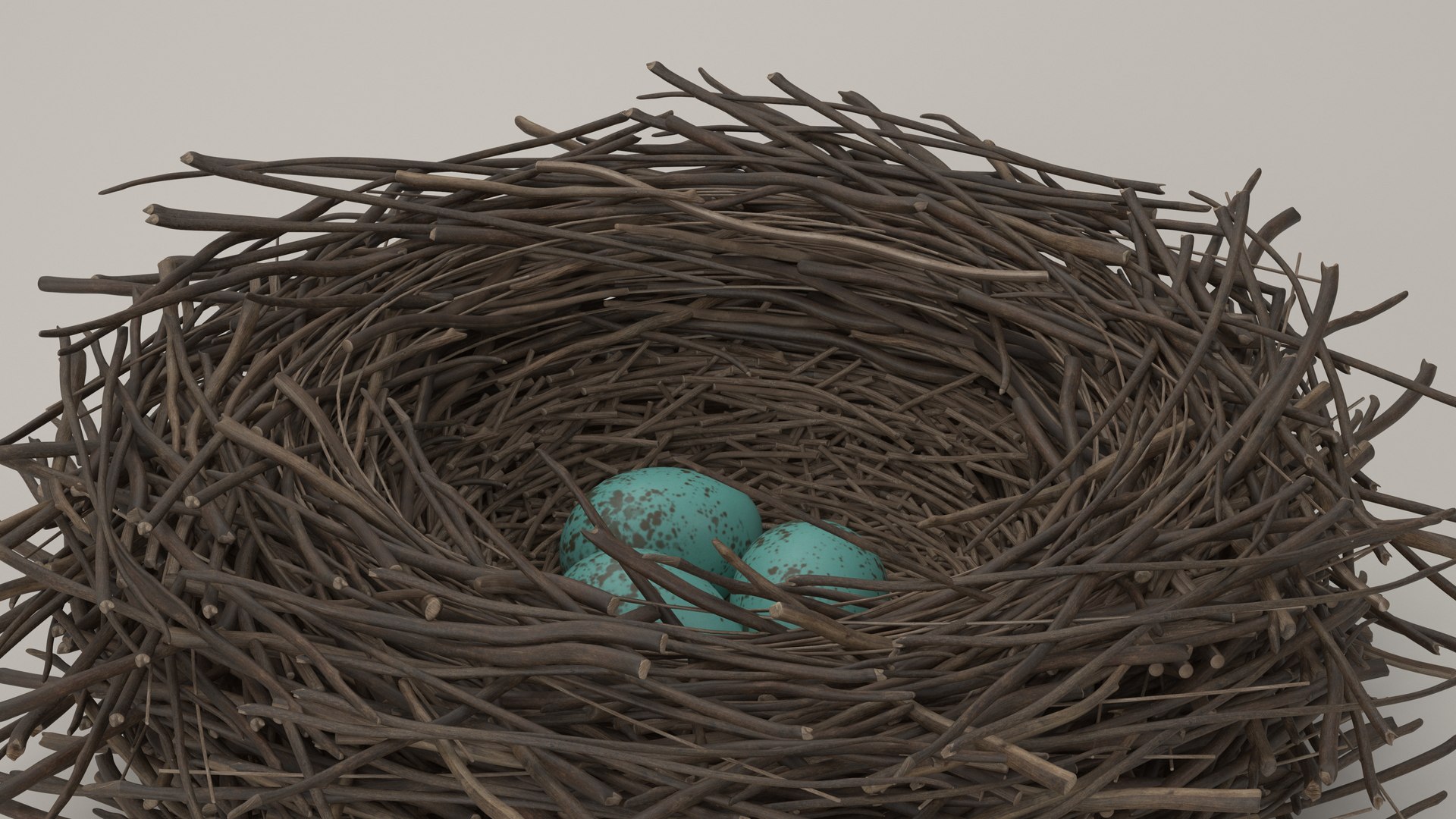 3D Bird Nest With Eggs Model - TurboSquid 2198756